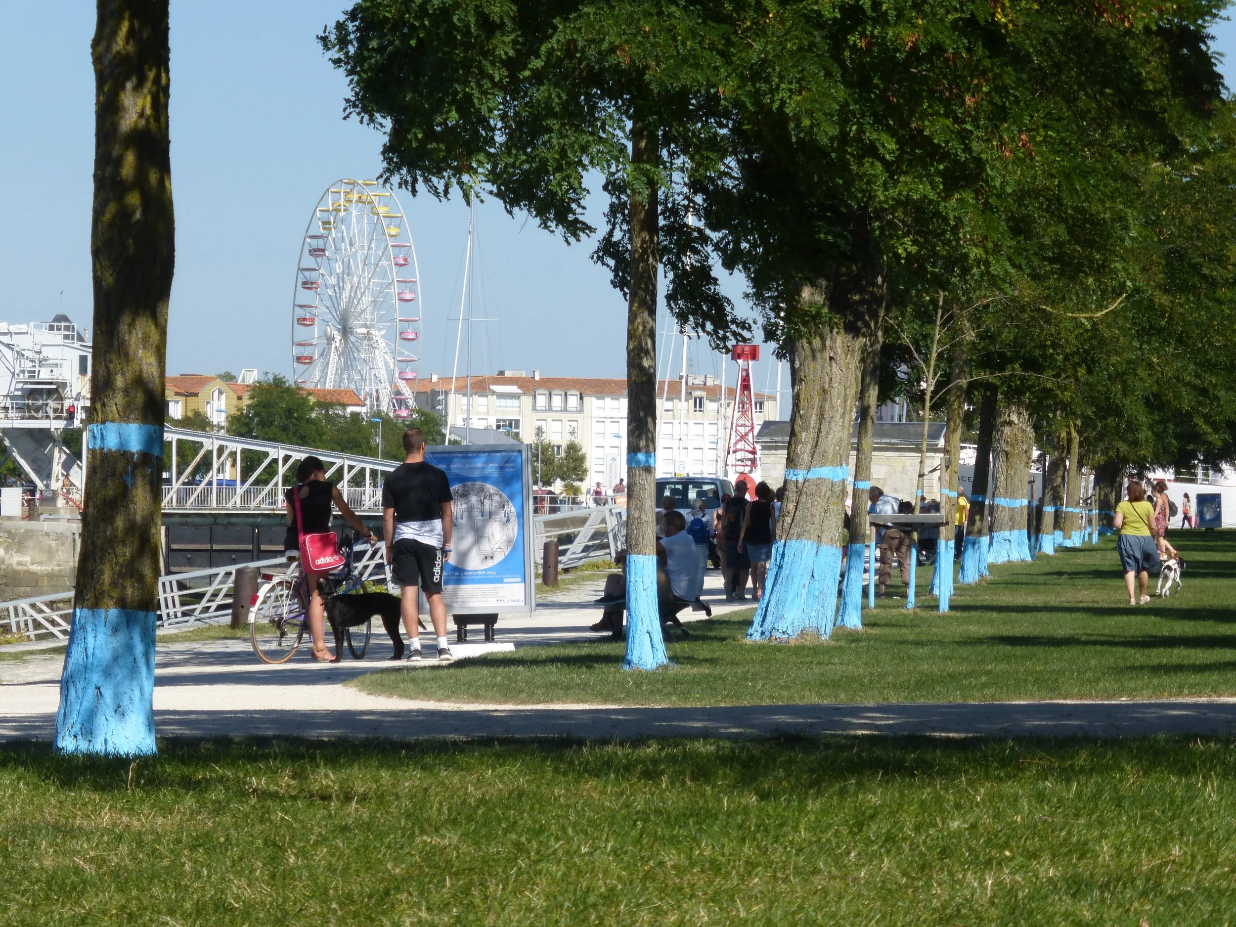 General 1 — Ong Bleu Versant