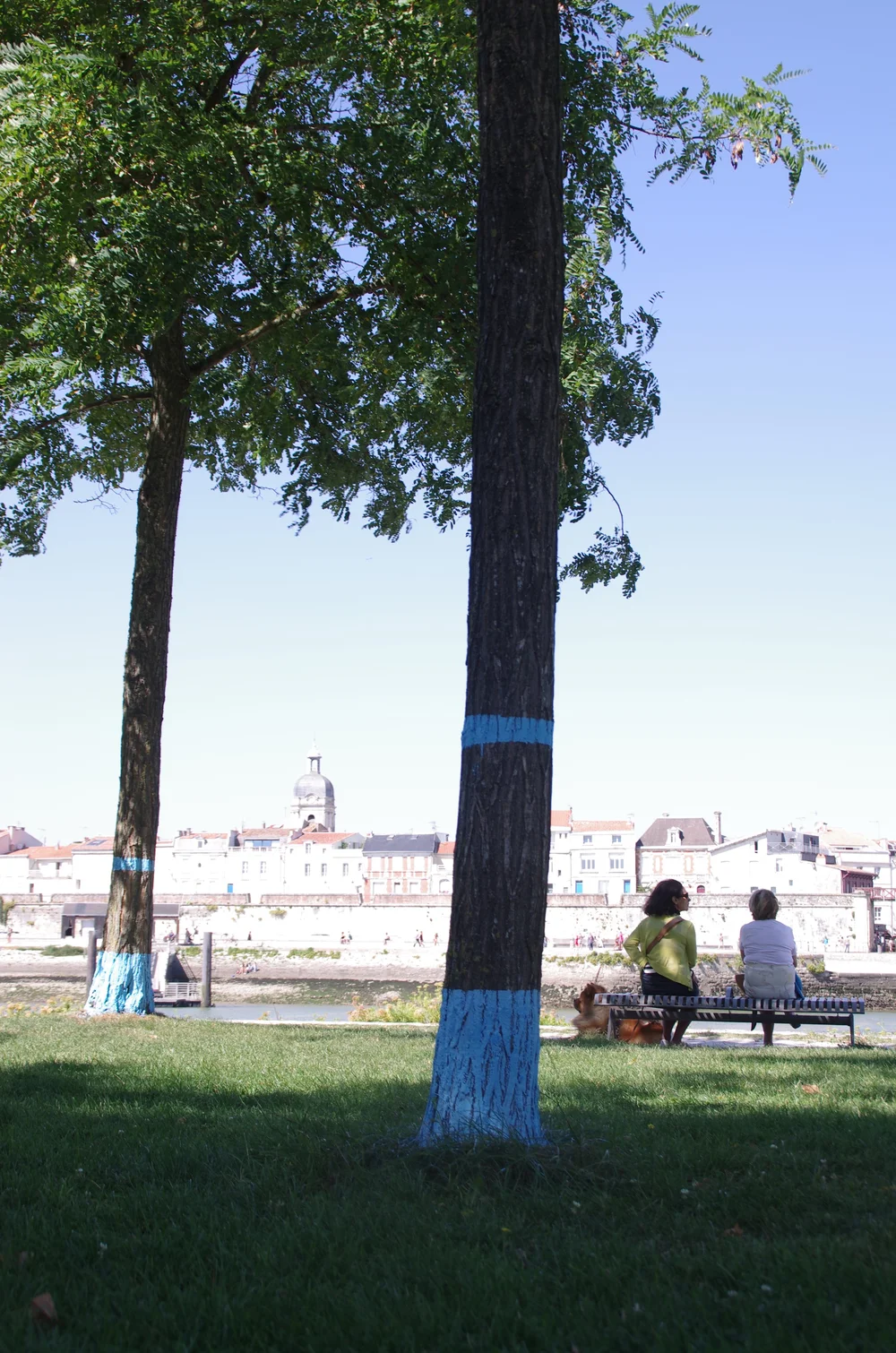 General 1 — Ong Bleu Versant