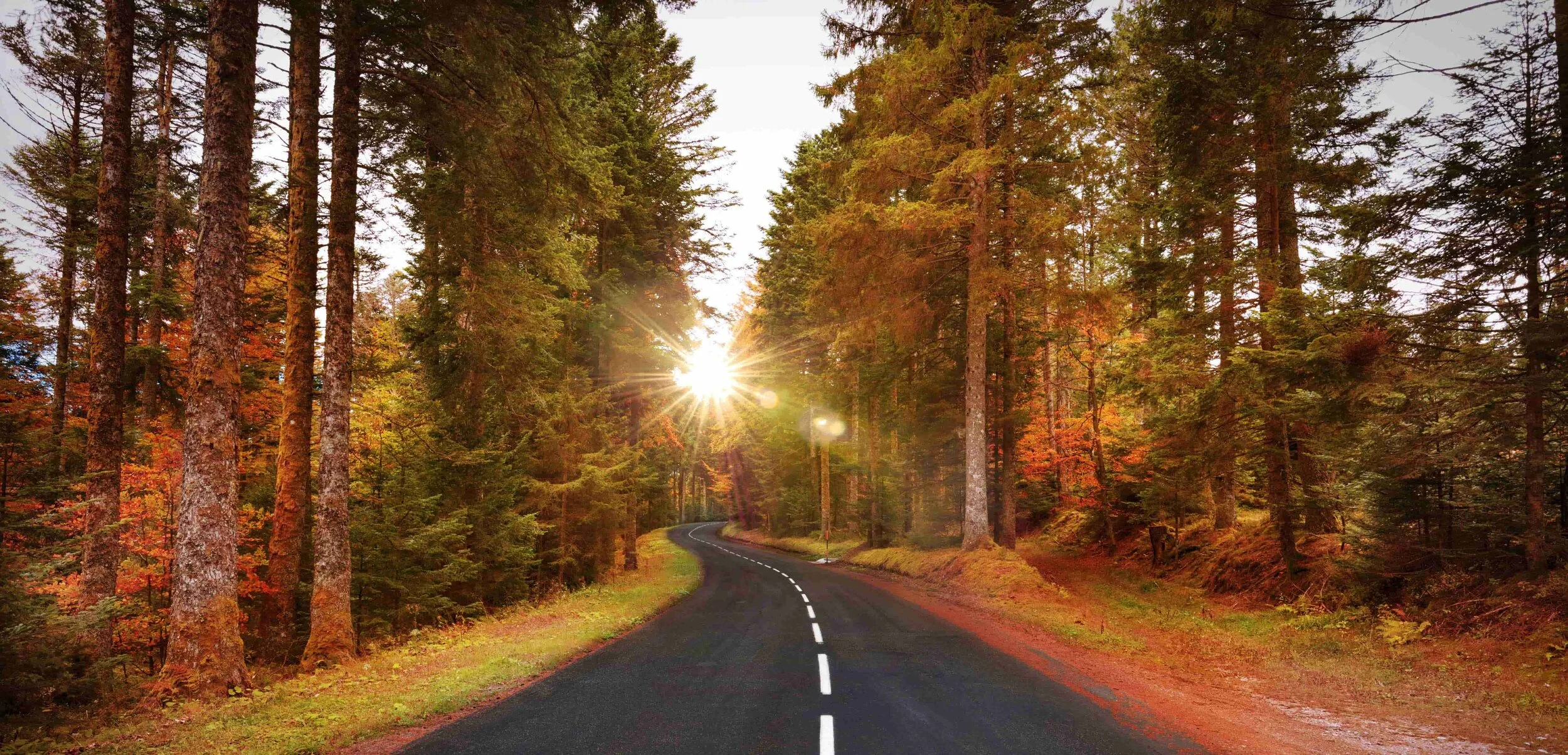 Our Providers — Autumn Road Family Practice