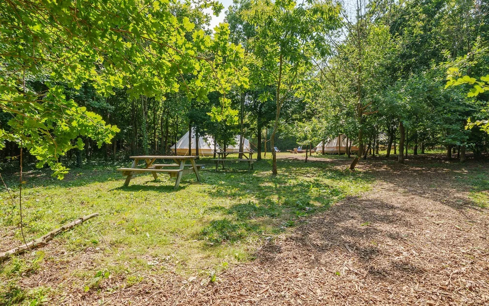 Nature's Spectacular - Accommodation - Fire Circle Camp