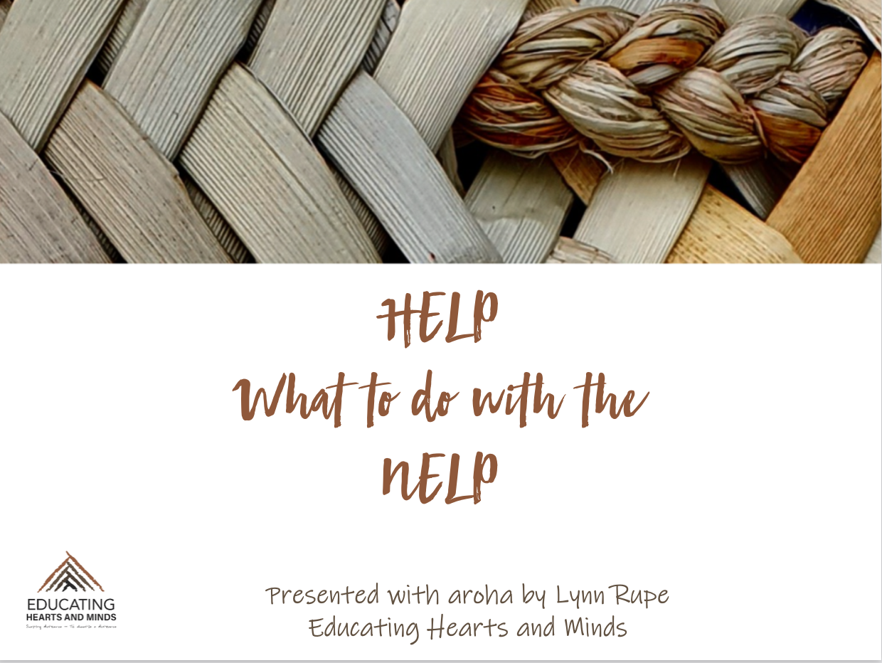 Store 1 — Educating Hearts and Minds