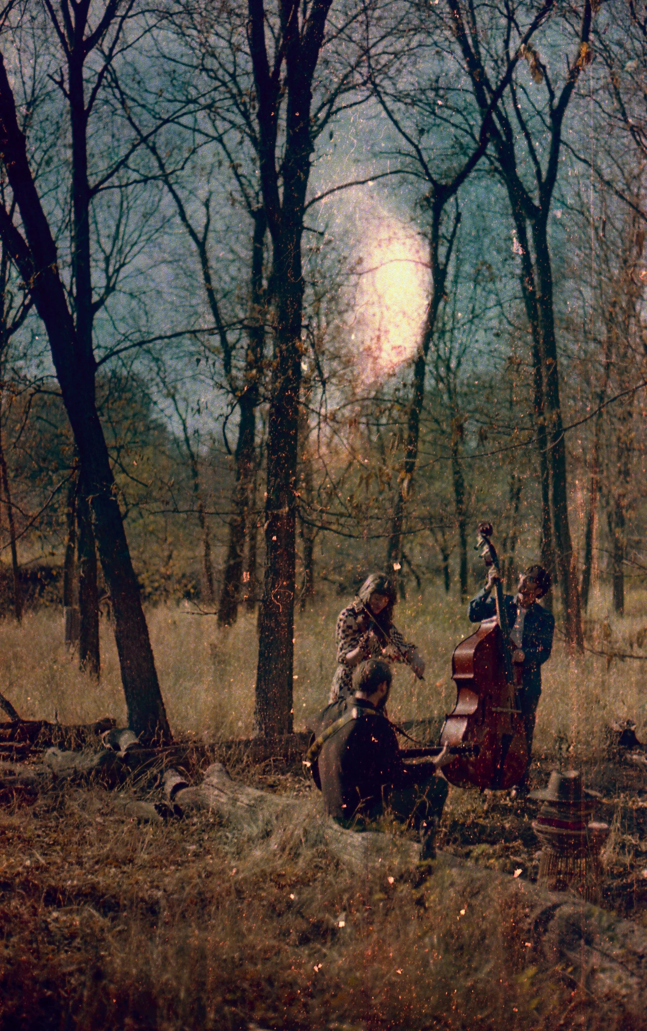 Tour Dates-The Wildwoods