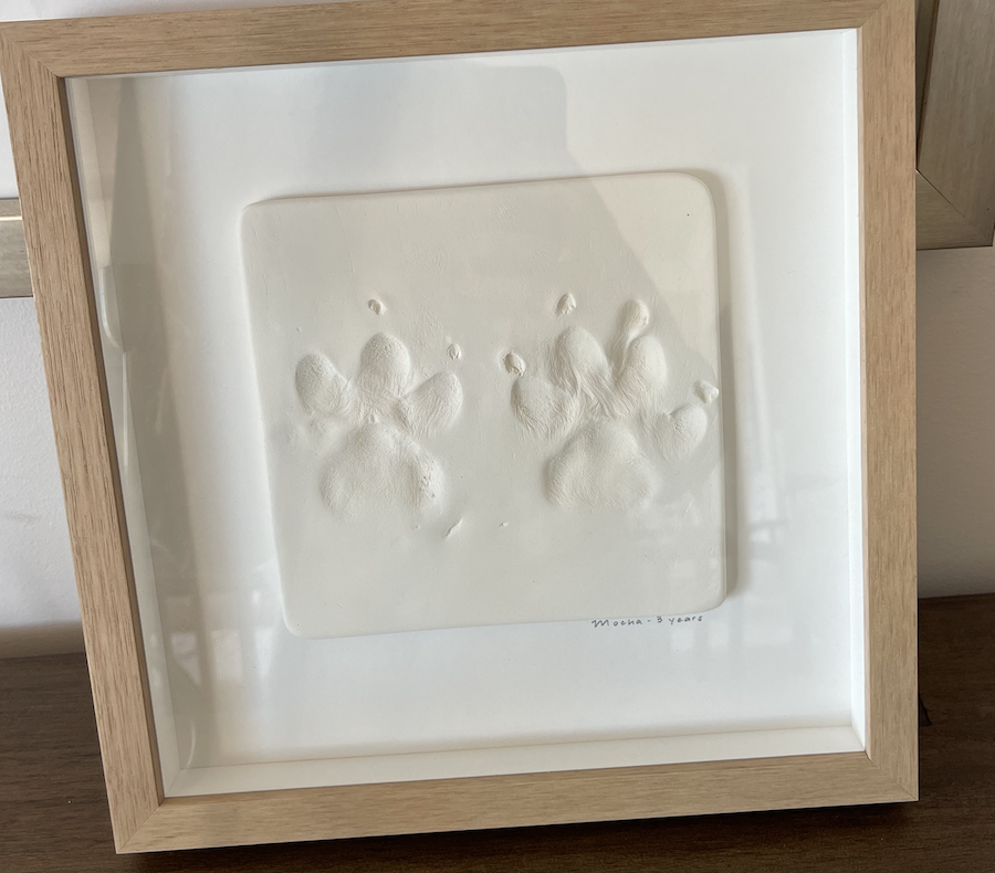 Amber’s Gift Guide - Adults — Studio Verdigris