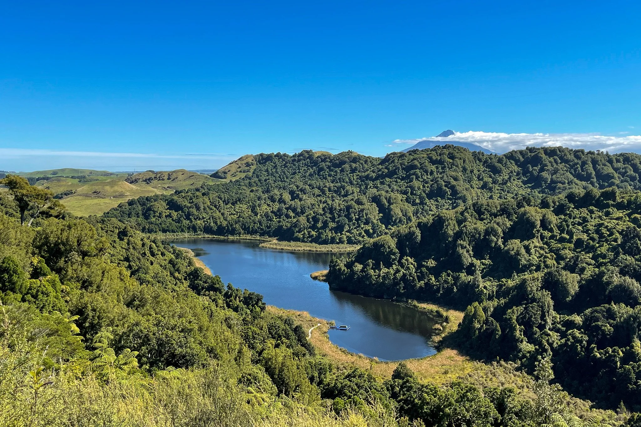 In Photos: The Birds of Rotokare Scenic Reserve, New Zealand
