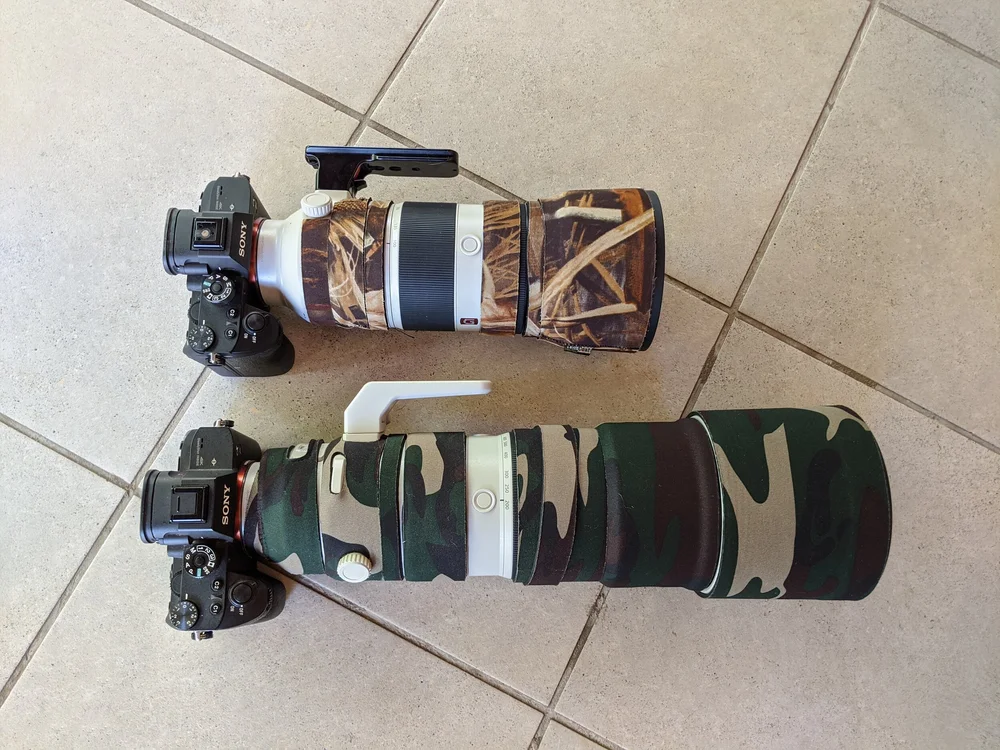 Sony 200–600mm Lens: User Guide for Wildlife Photographers