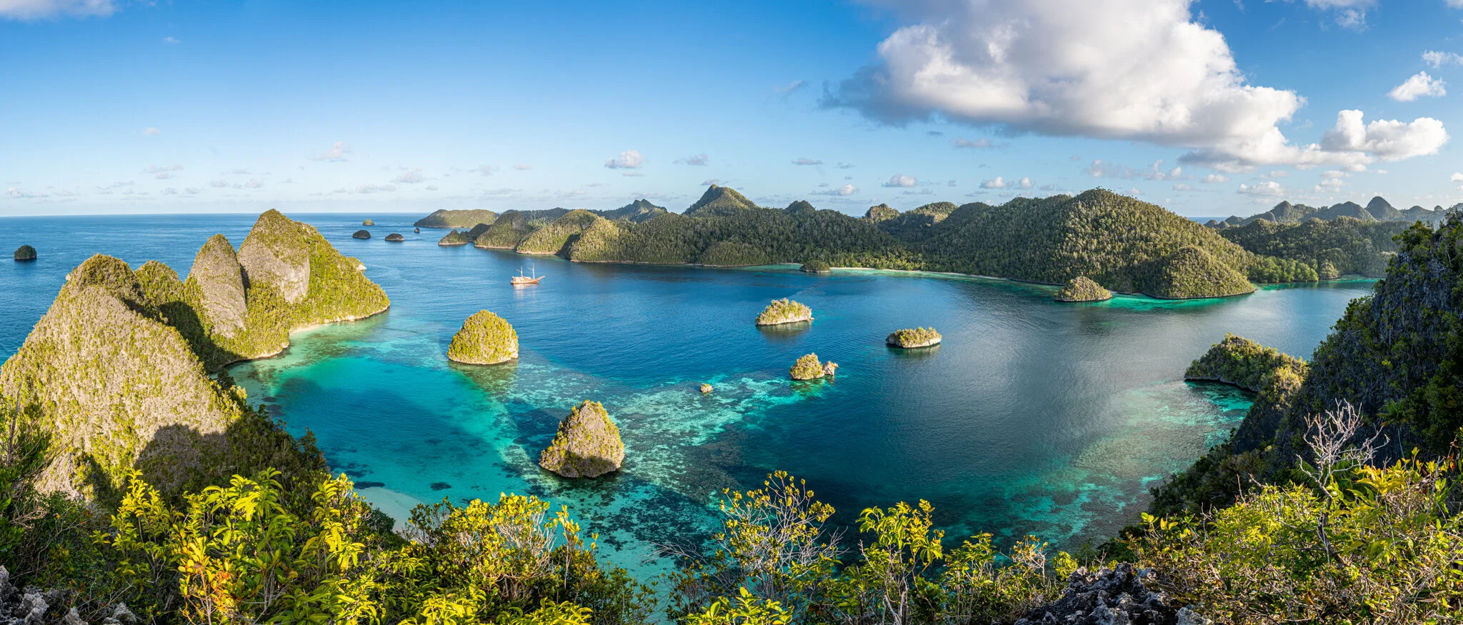 Diving Raja Ampat – A Marine Biologist's Guide to the best Diving ...