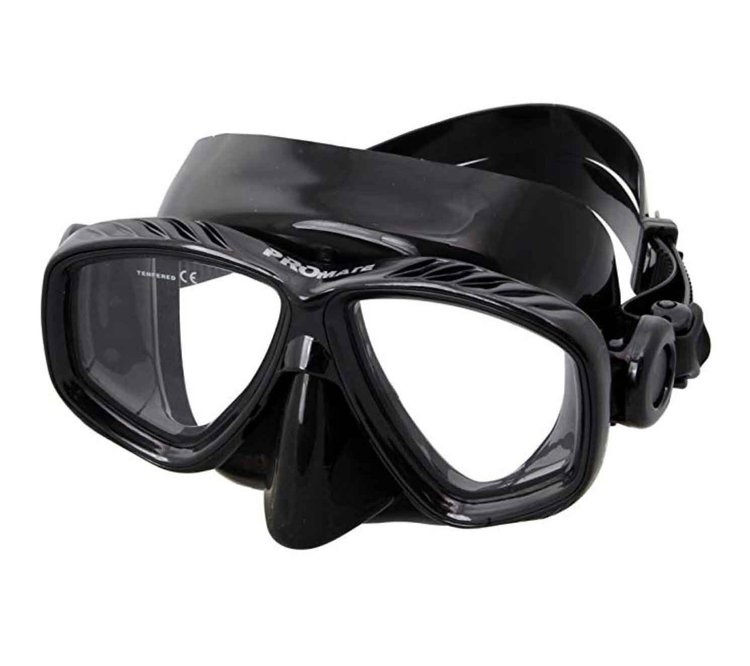 Best Dive Masks for 2025 🏆 [Marine Biologist Reviewed]