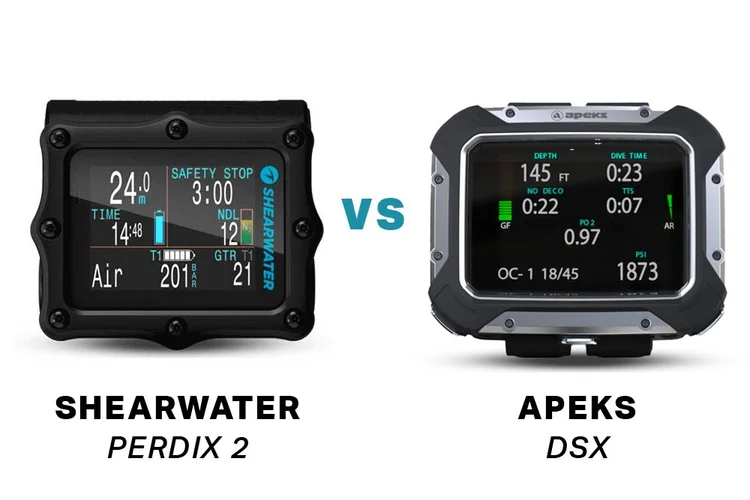Shearwater Perdix 2 Dive Computer Review [2025] by a Marine Biologist