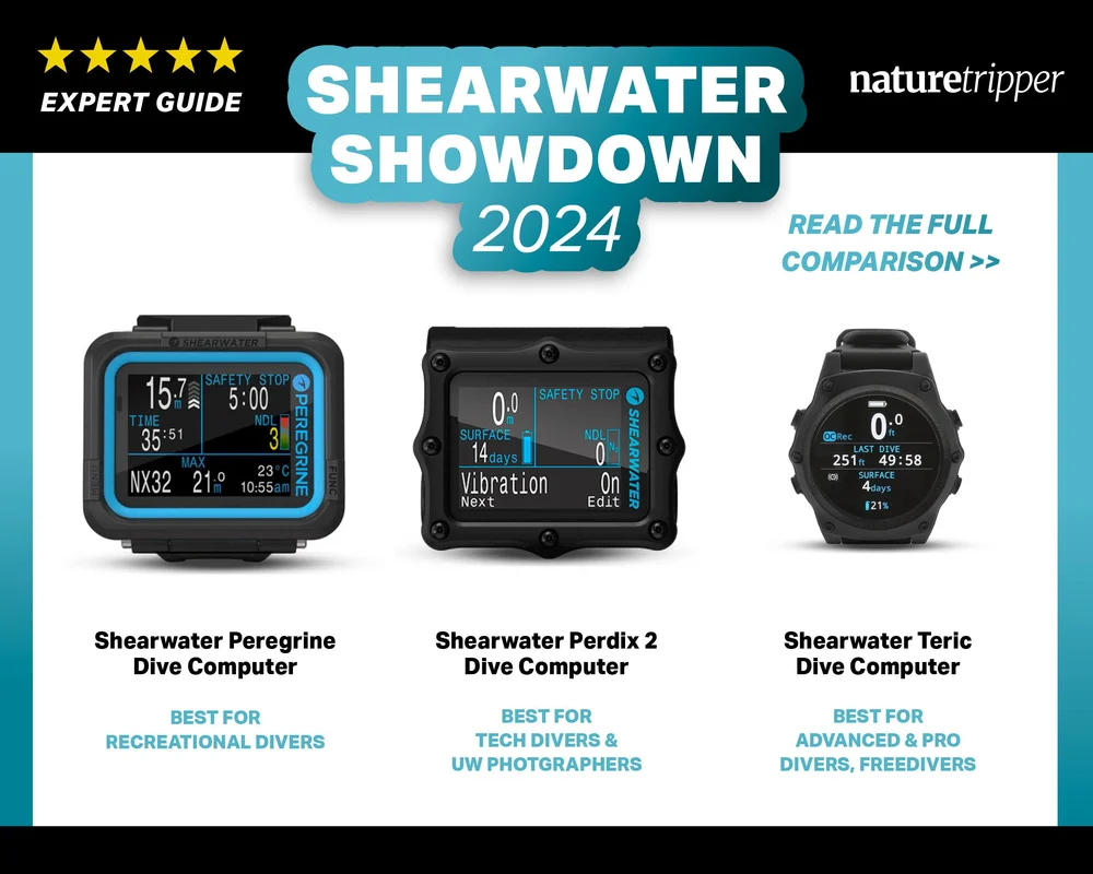 Shearwater Showdown 🏆 Teric, Peregrine & Perdix Dive Computers Compared by a Marine Biologist [2025]