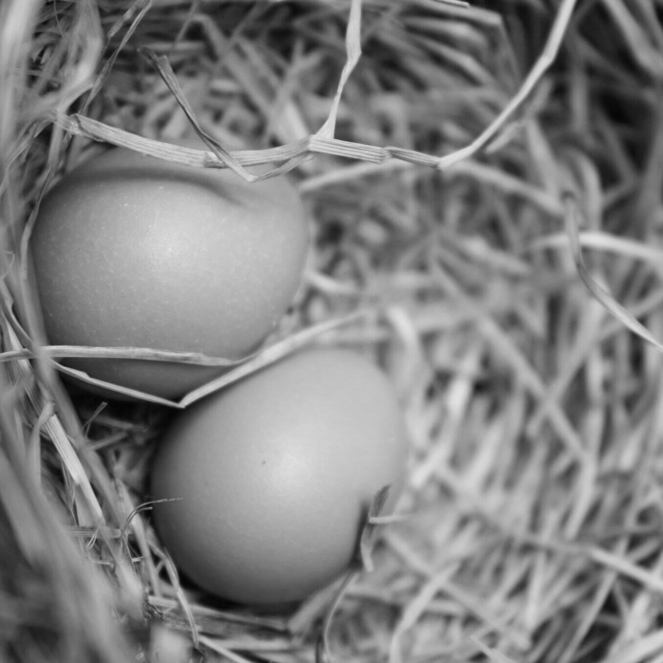 Mercury Financial Partners