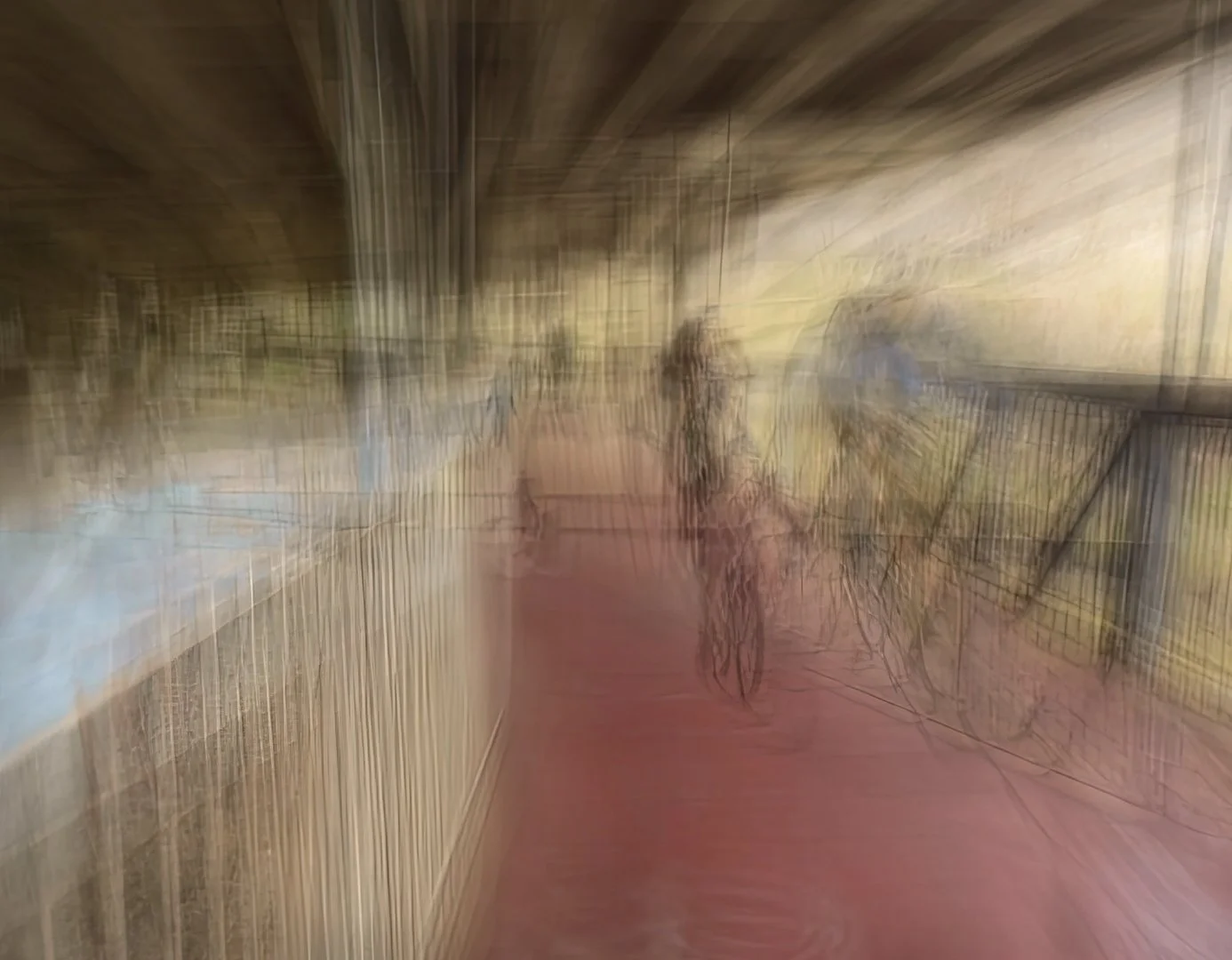 July 2023 Theme - Intentional Camera Movement — Camberwell Camera Club