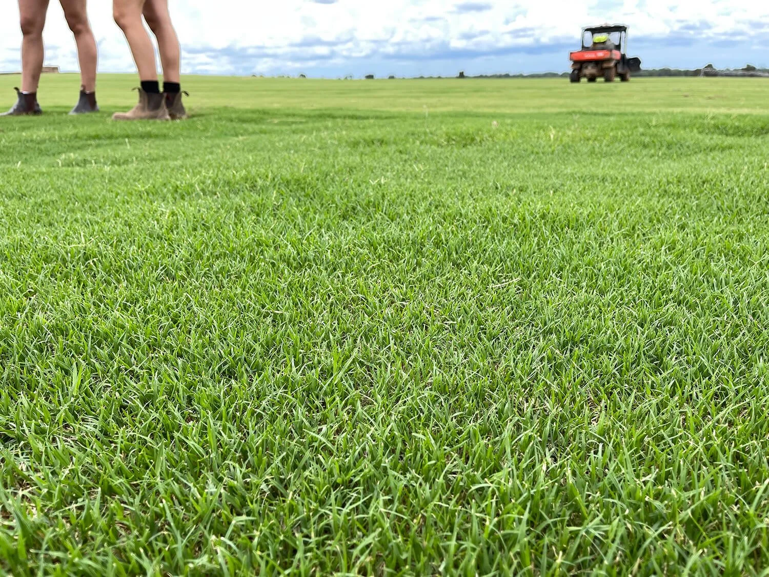 About Us — Turf Galore