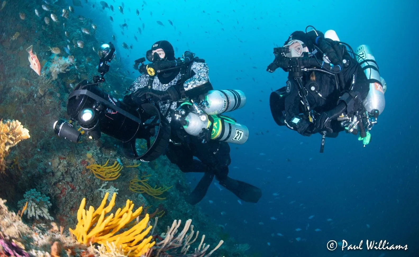 The best lighting for underwater 360 video, 3D photogrammetry tutorials ...