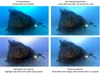 How to quickly stitch a 360 video with Insta360 Studio — Mantis Sub ...