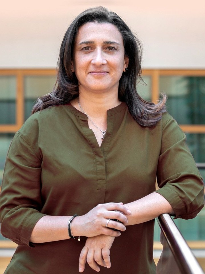 Who we are — Ecocide Alliance