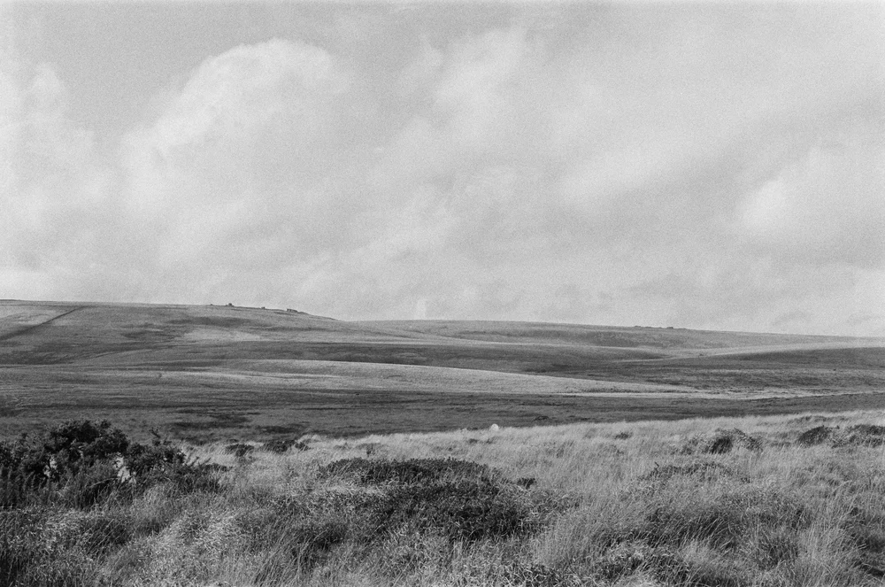 The Woolgatherers Workshop Pure Shetland Wool in Dark Grey — flock ...