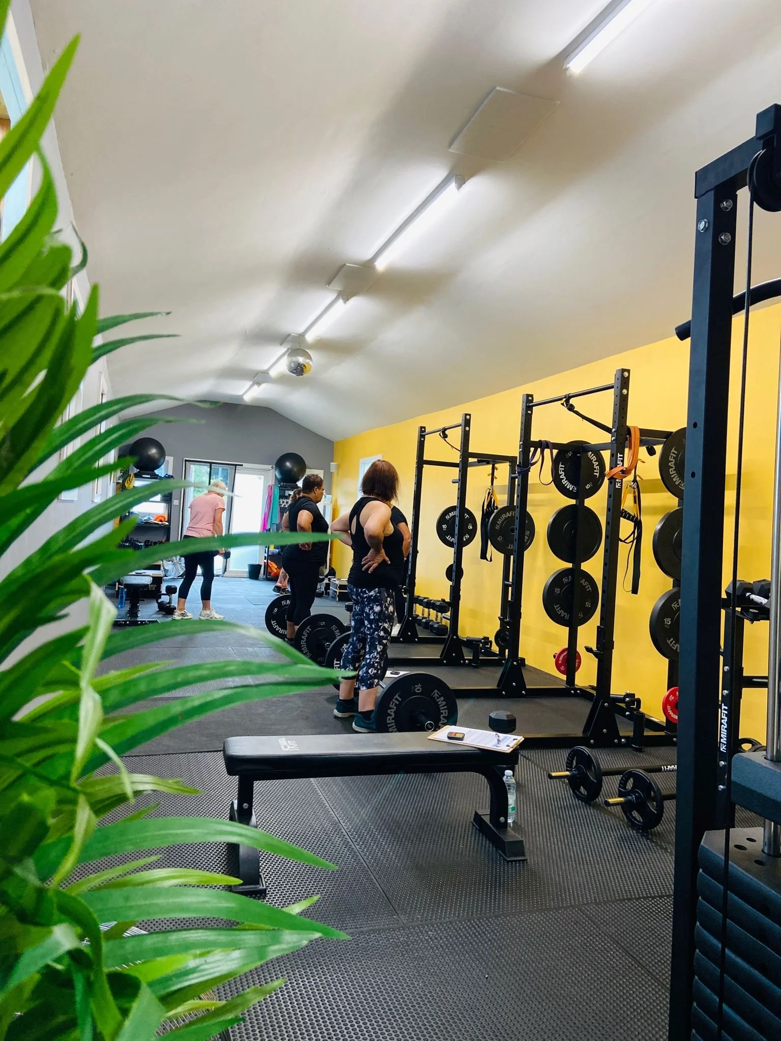 Shine Studio