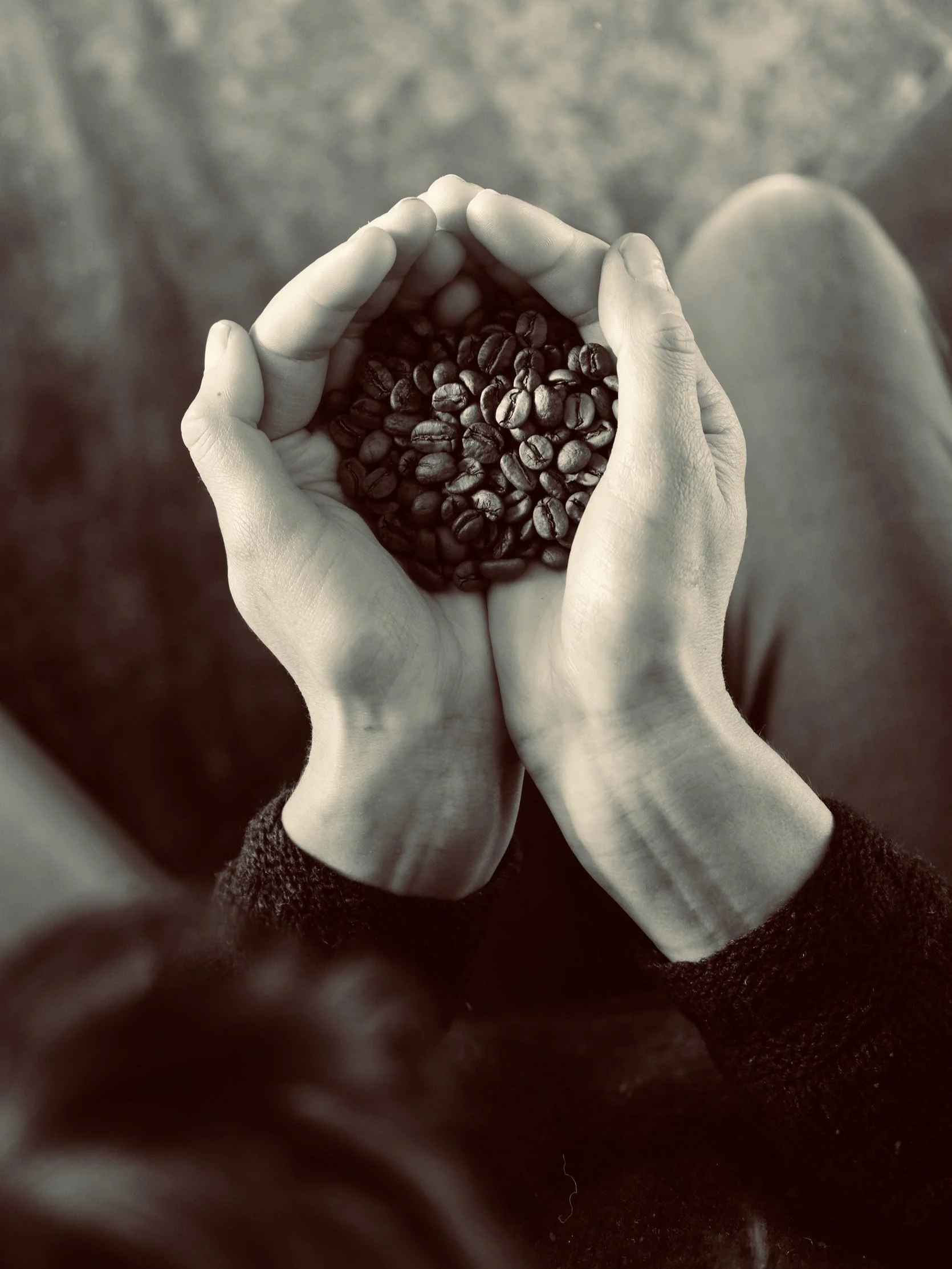Lars & Margo / Cornwall Speciality Coffee Roasters