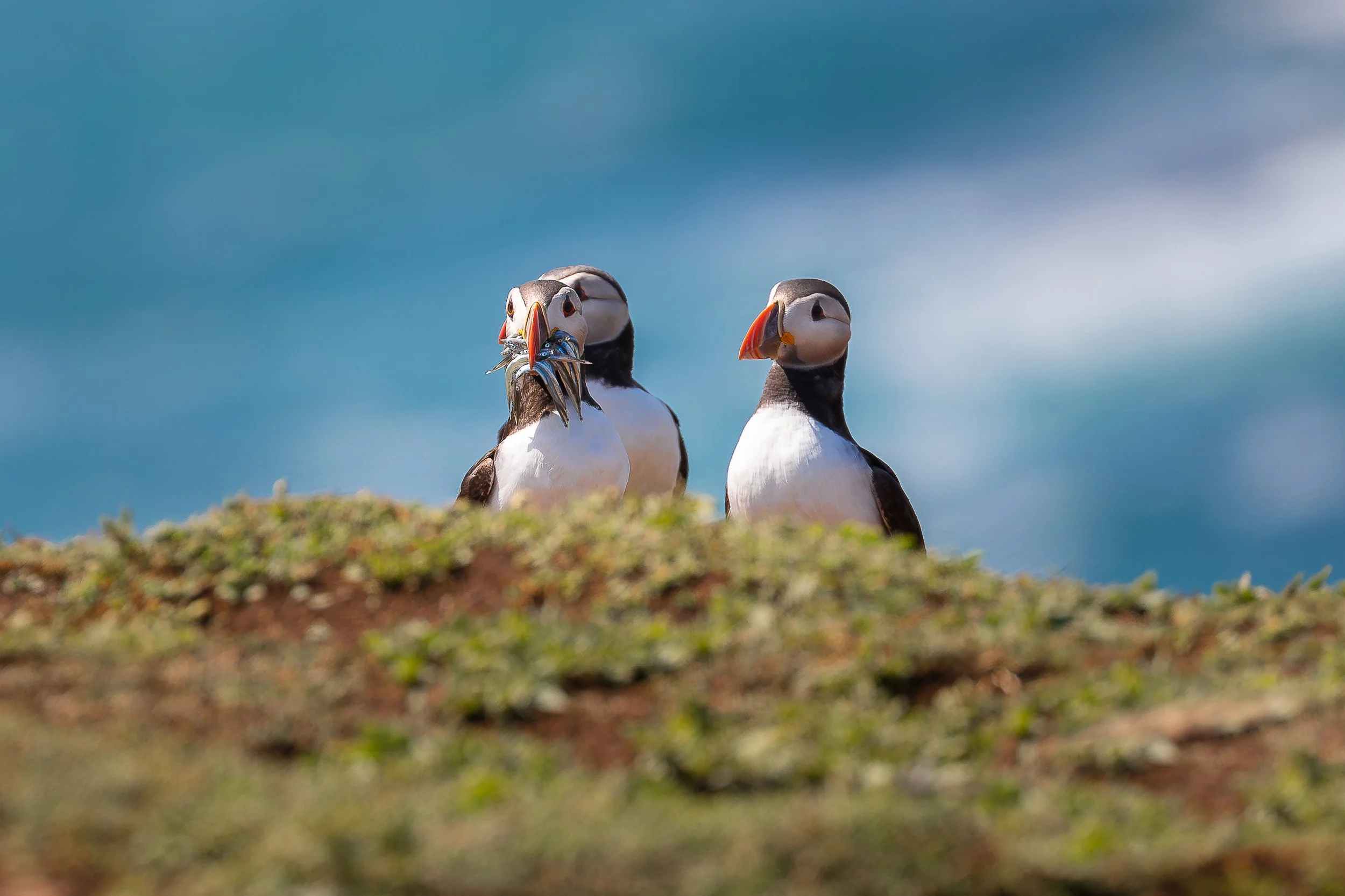 Store — Stephen Smith Photography | Pembrokeshire Photographer ...