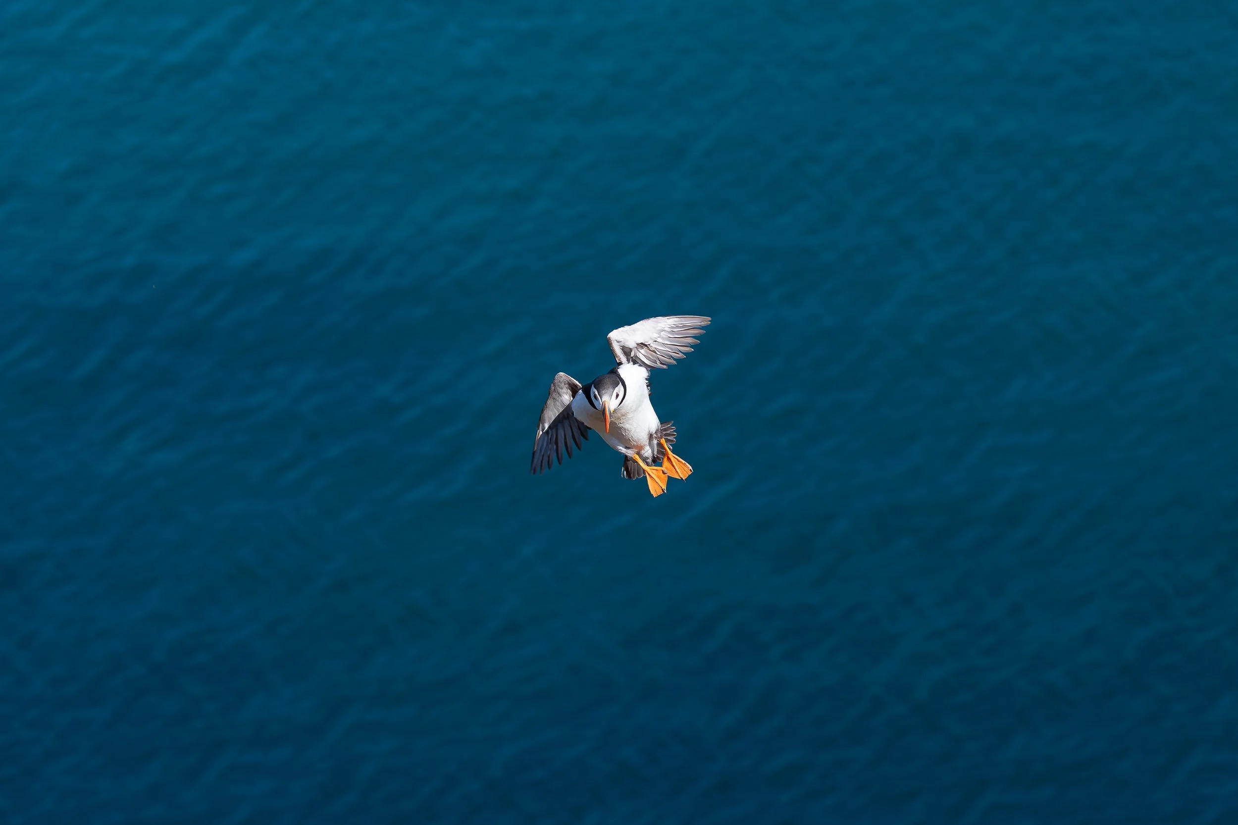 Store — Stephen Smith Photography | Pembrokeshire Photographer ...