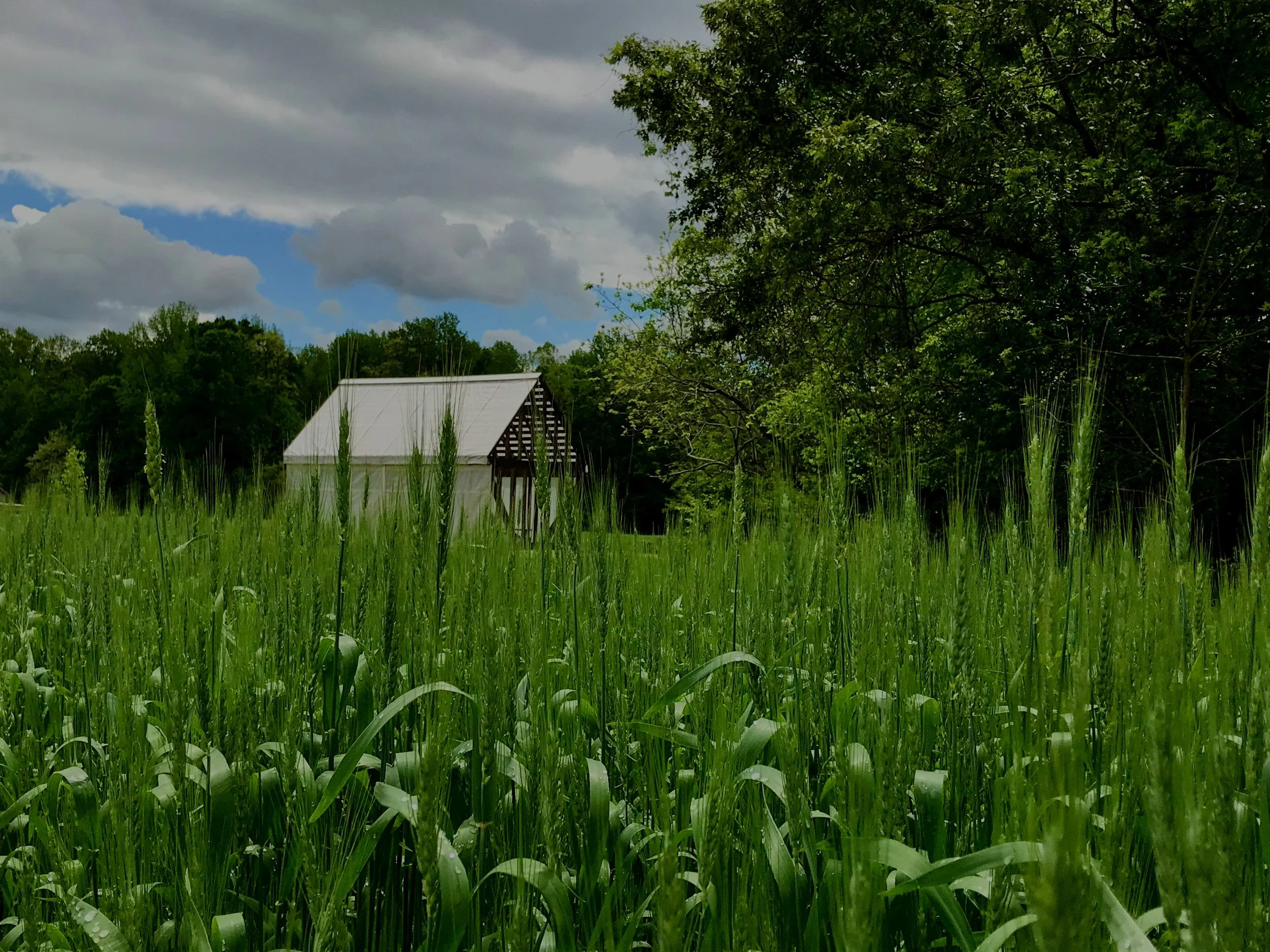 Menokin - A National Historic Landmark
