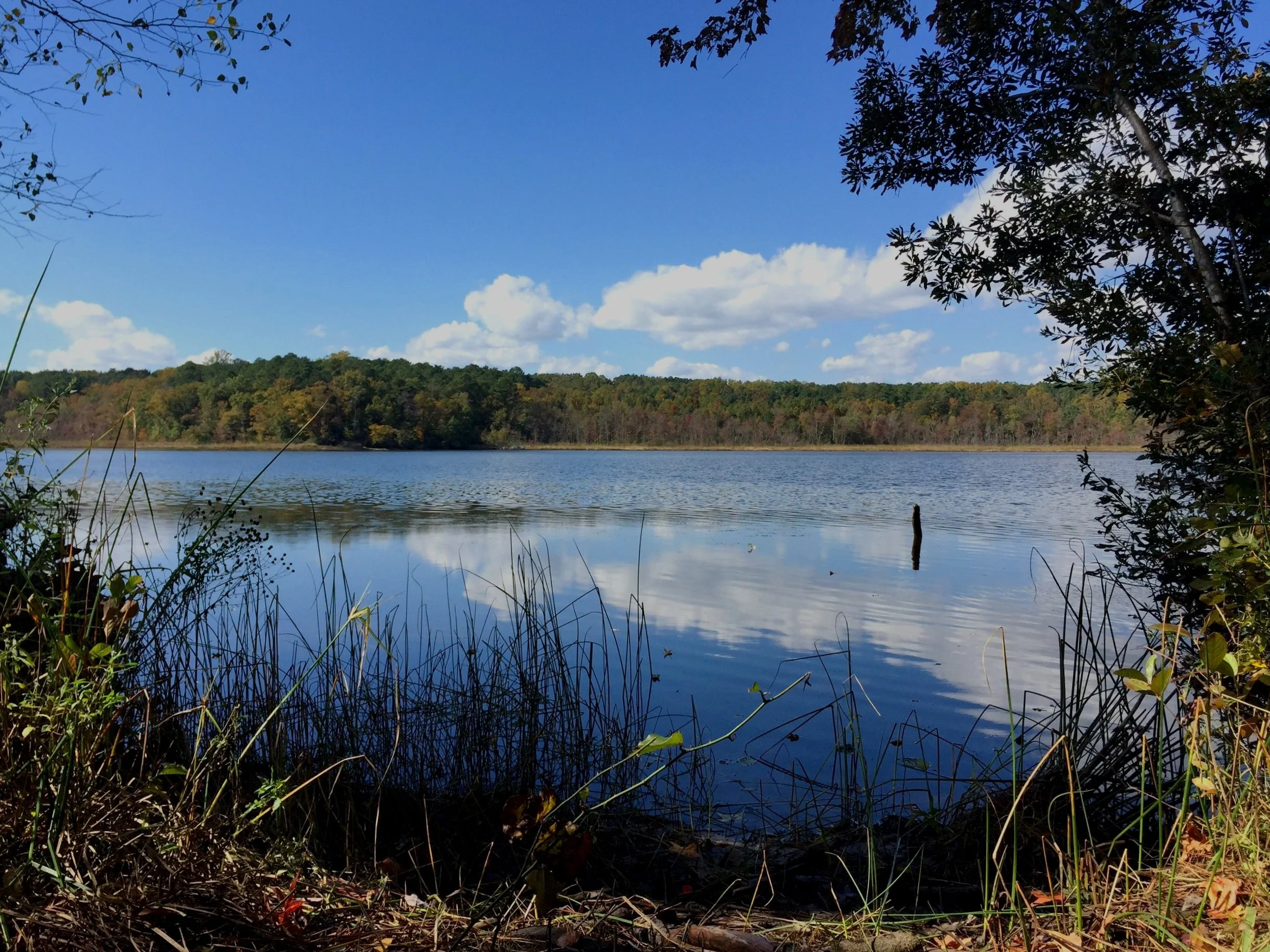 Menokin - A National Historic Landmark