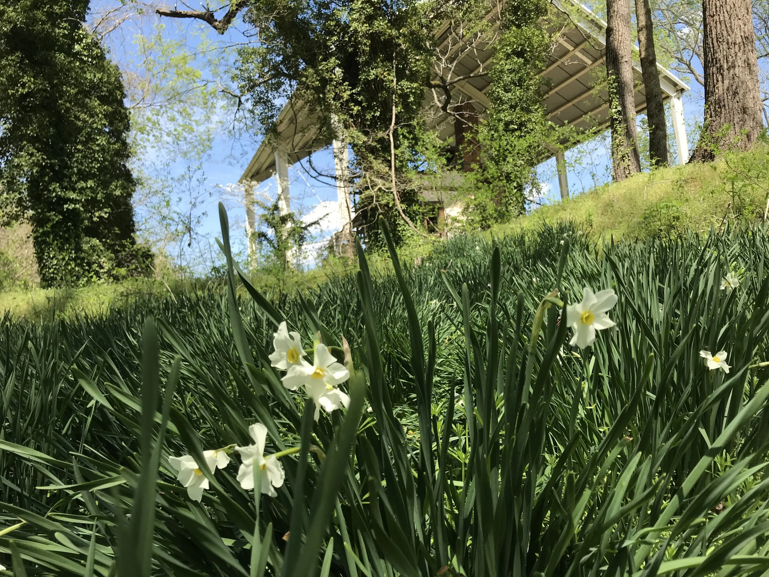 Menokin - A National Historic Landmark