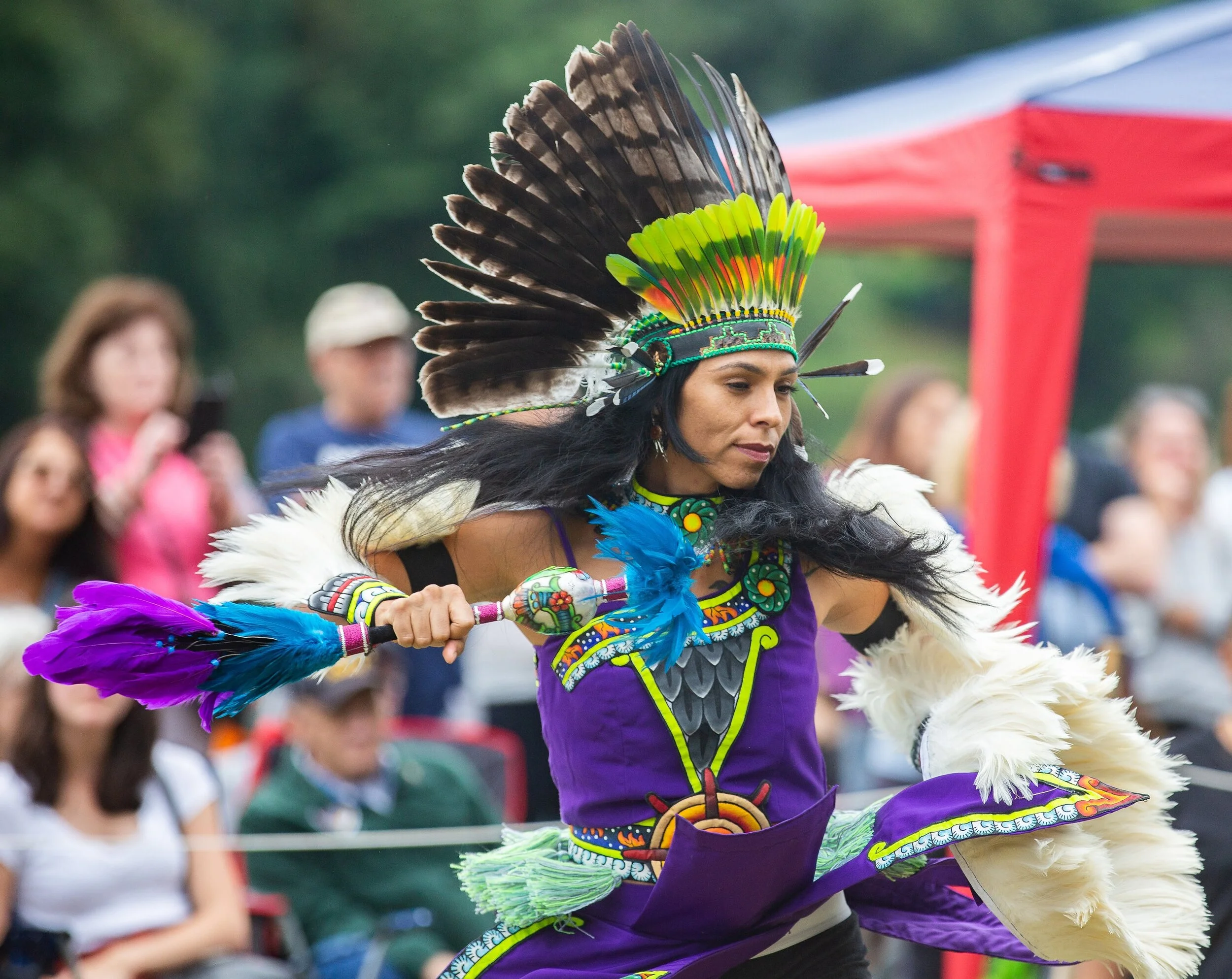 Cultural-Traditional Arts — Massachusetts Center for Native American ...