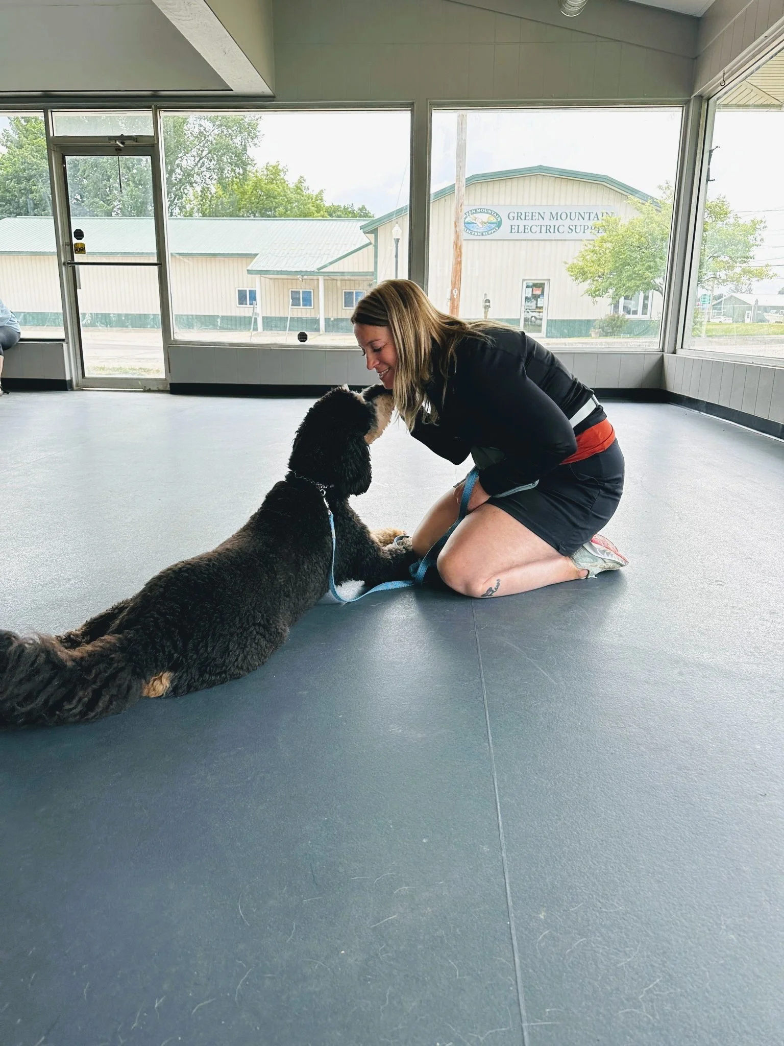 General 2 — The Canine Barkyard