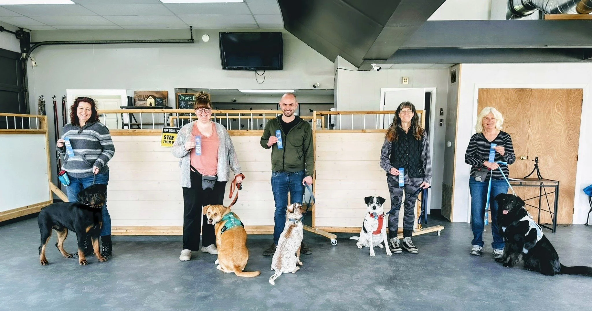 Group Classes — The Canine Barkyard