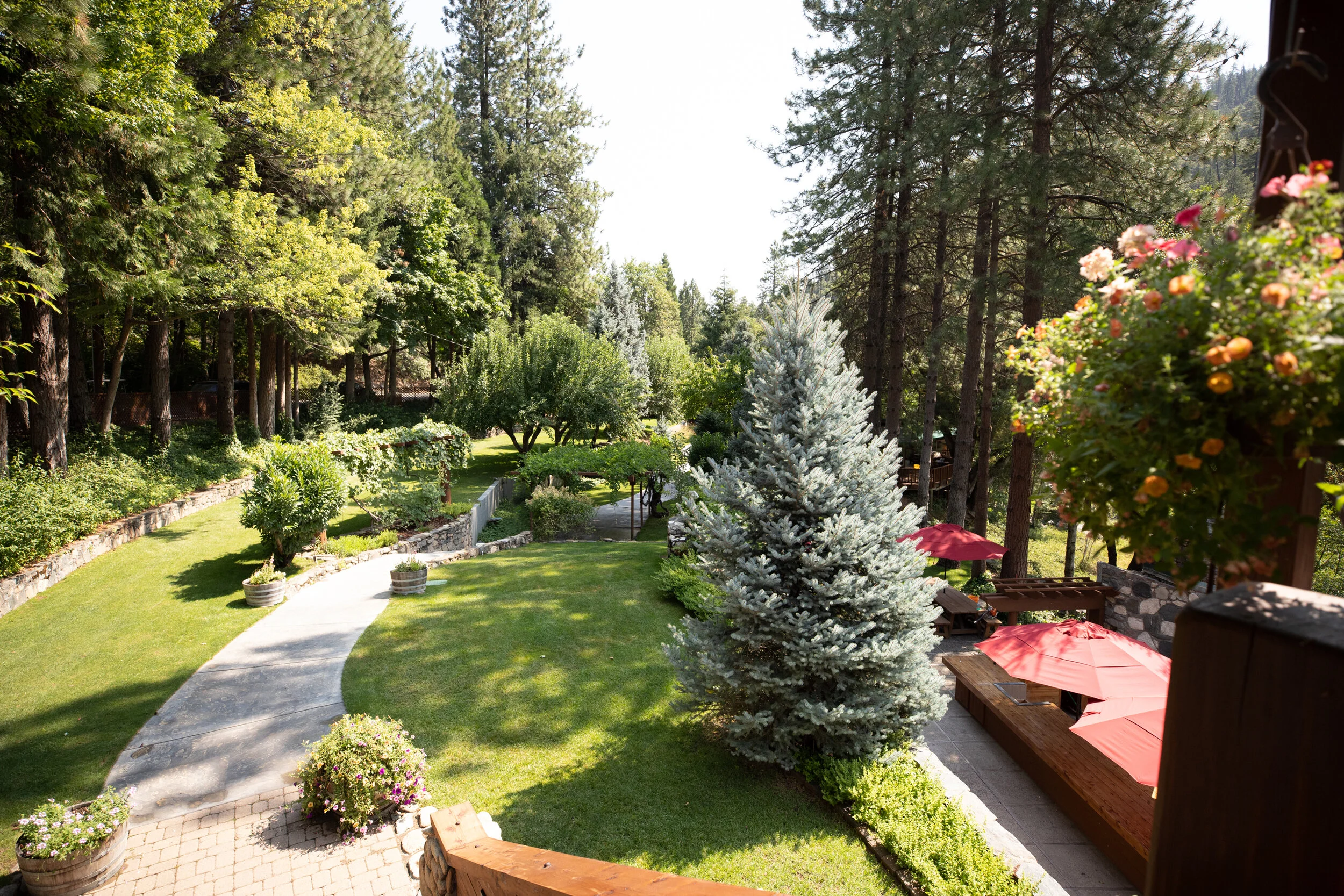 Accommodations — Scott River Lodge