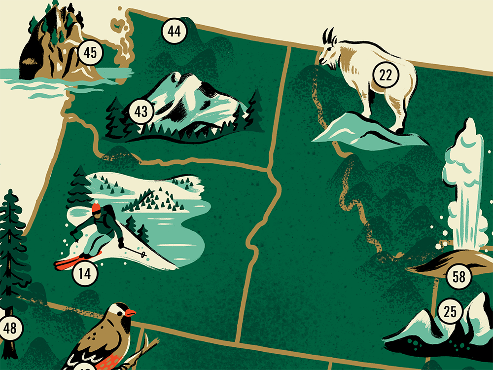 U.S. National Park Maps — Brave the Woods