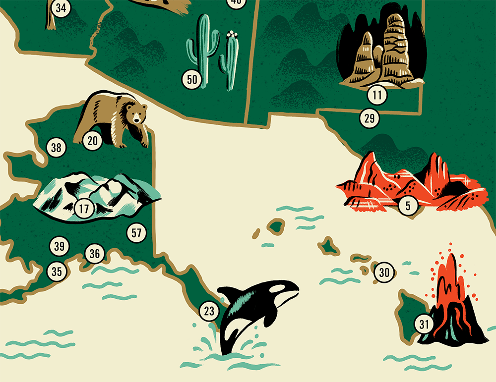 U.S. National Park Maps — Brave the Woods