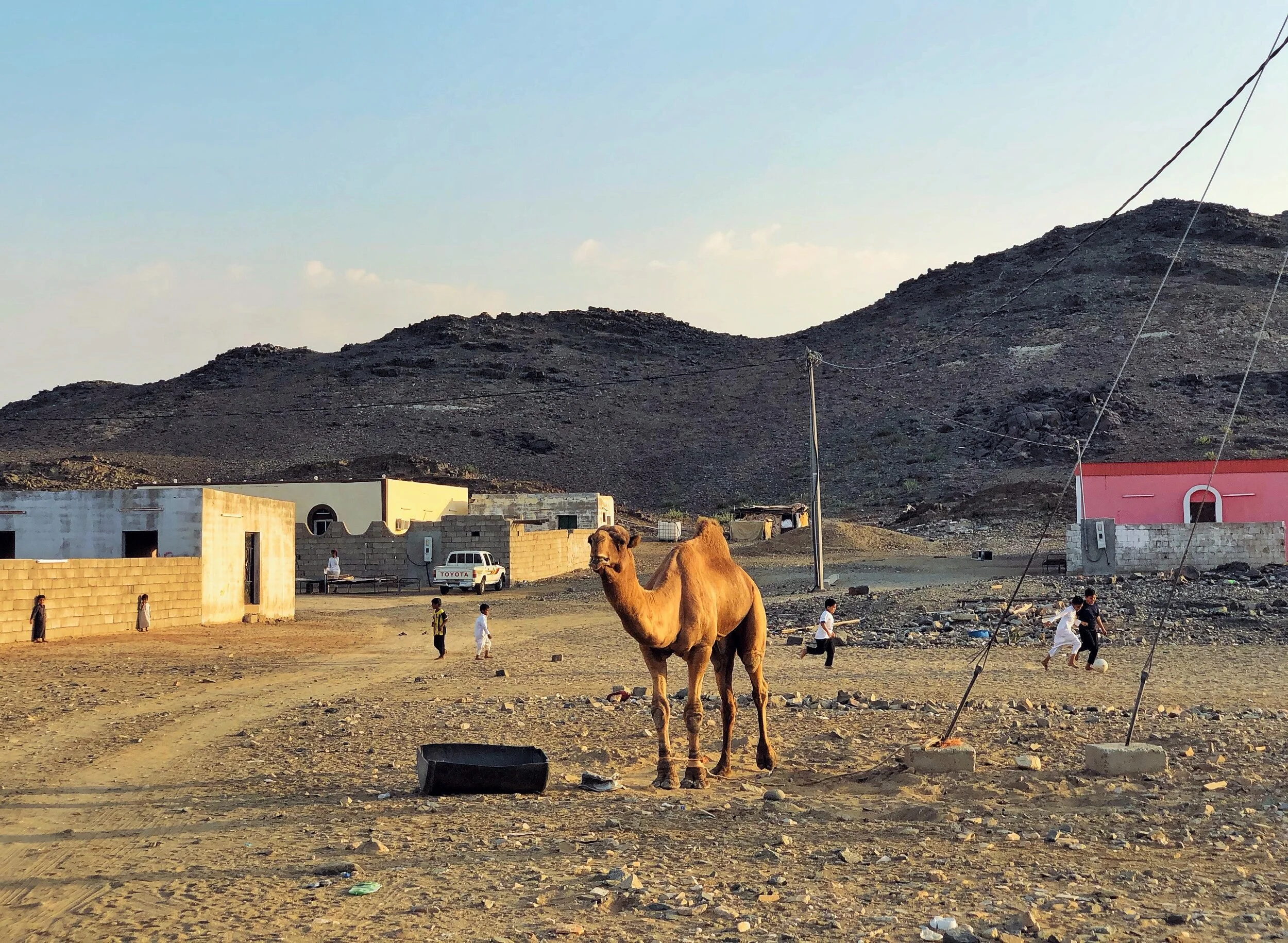 Norah Al-Amri: Black is My Colour — Inertia Network