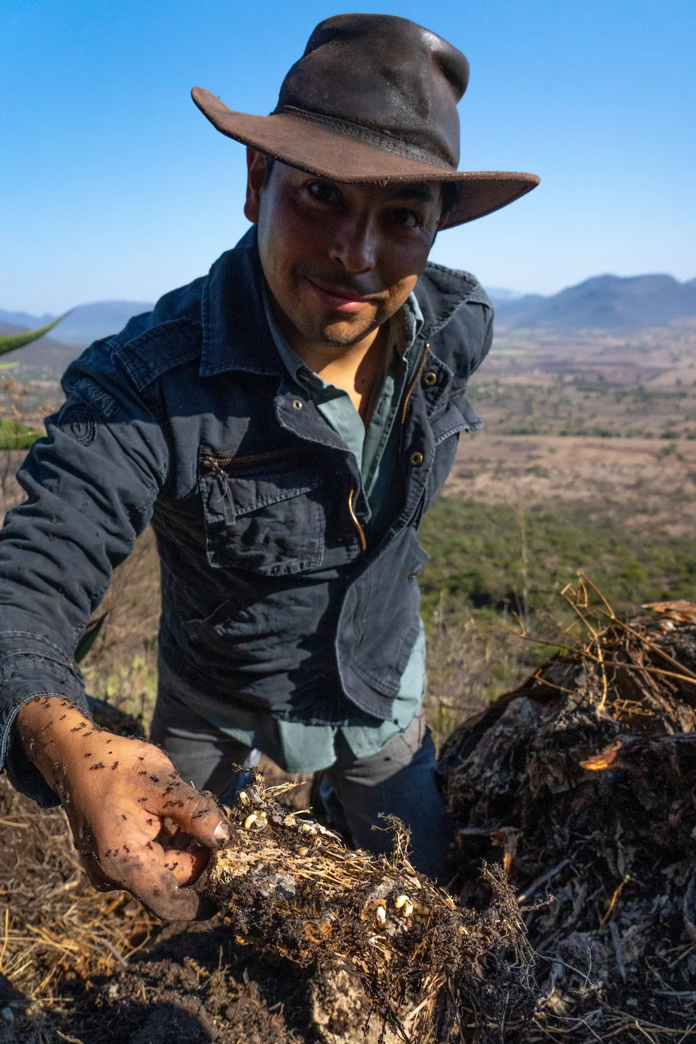 Mexican Caviar: Foraging and Eating Farty Ant Larvae — RAW in FOCUS