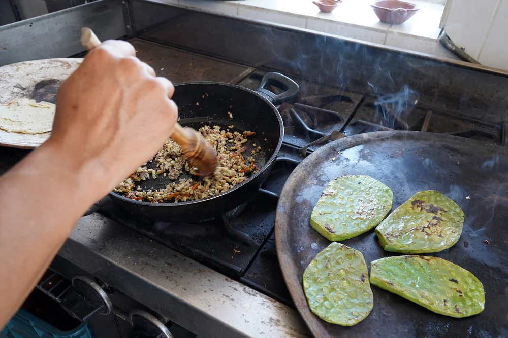 Mexican Caviar: Foraging and Eating Farty Ant Larvae — RAW in FOCUS