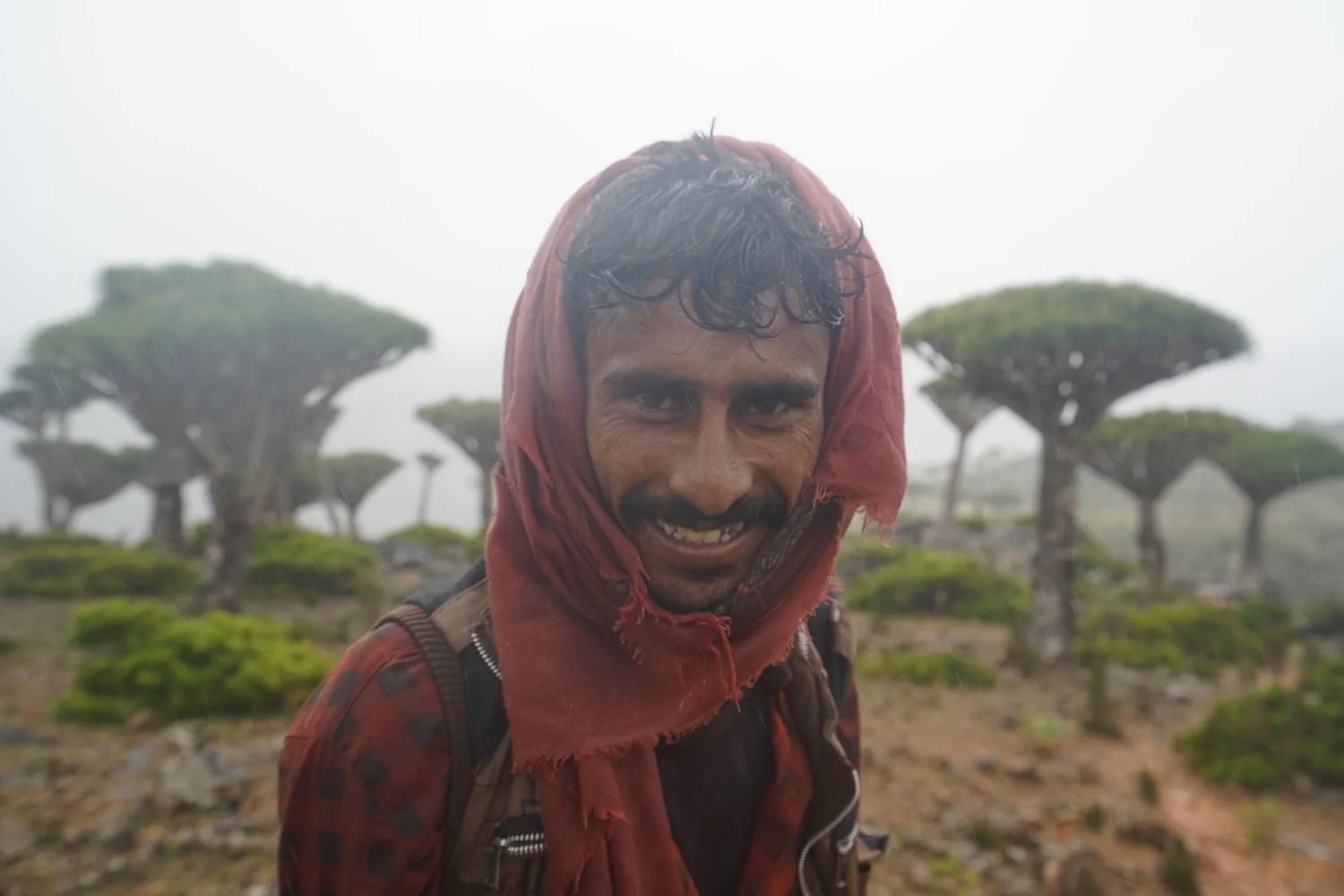 SOCOTRA: Outlying Islands and Hajhir Mountains Off the Beaten Path ...