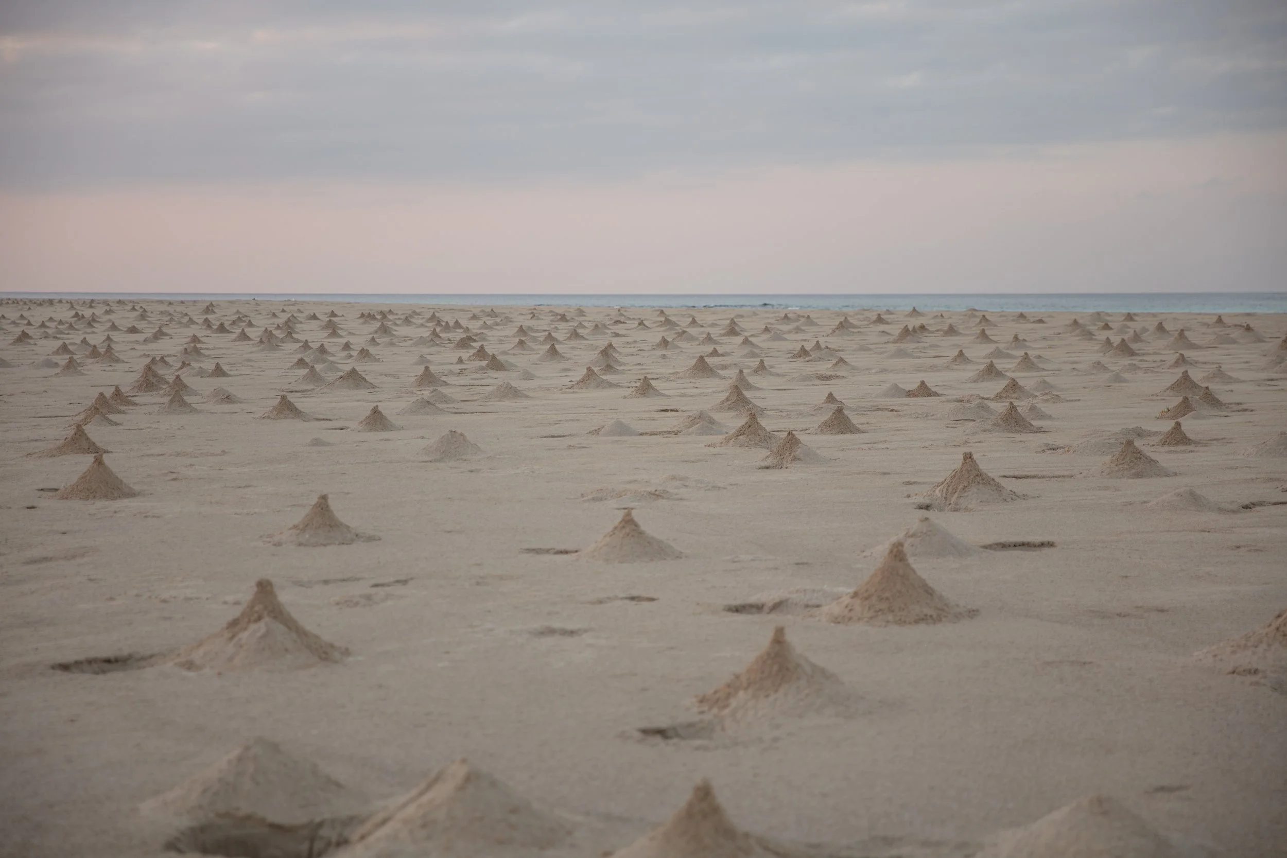Travel to Socotra (2024): All You Need to Know — RAW in FOCUS