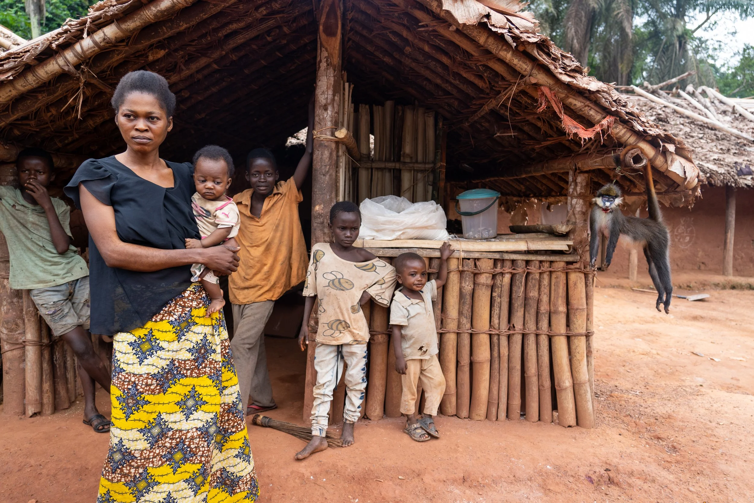 Mbuti: Congo’s Last Forest Pygmies Persist Despite Violence and Loss ...