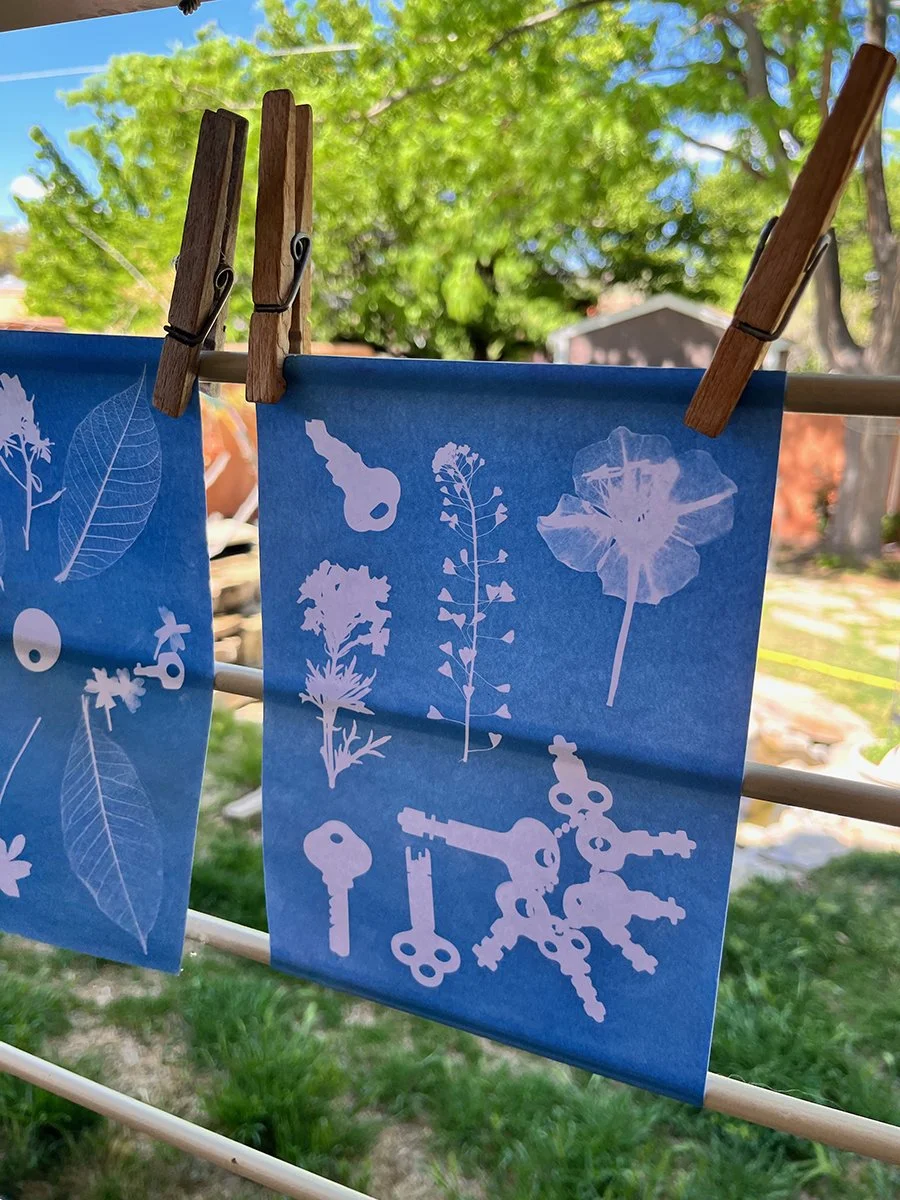 CYANOTYPE WORKSHOP — PEEL