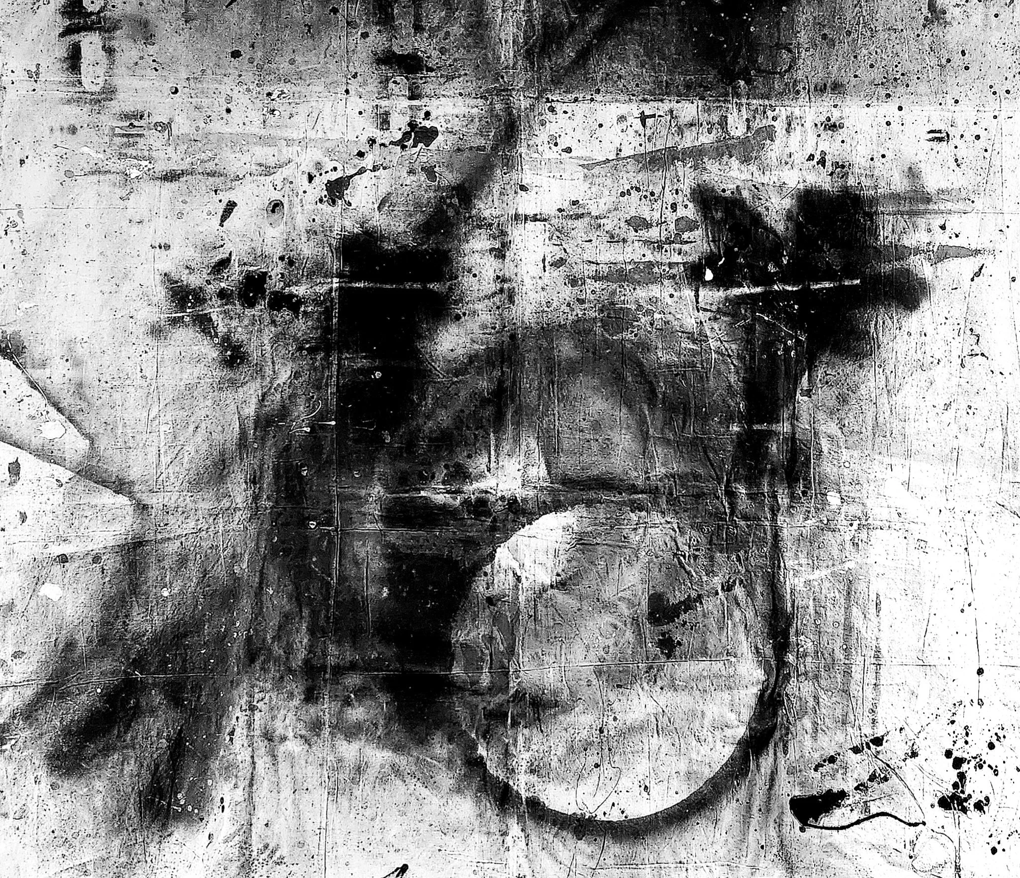 Cows, 2024 by Jenna Futrell — PEEL