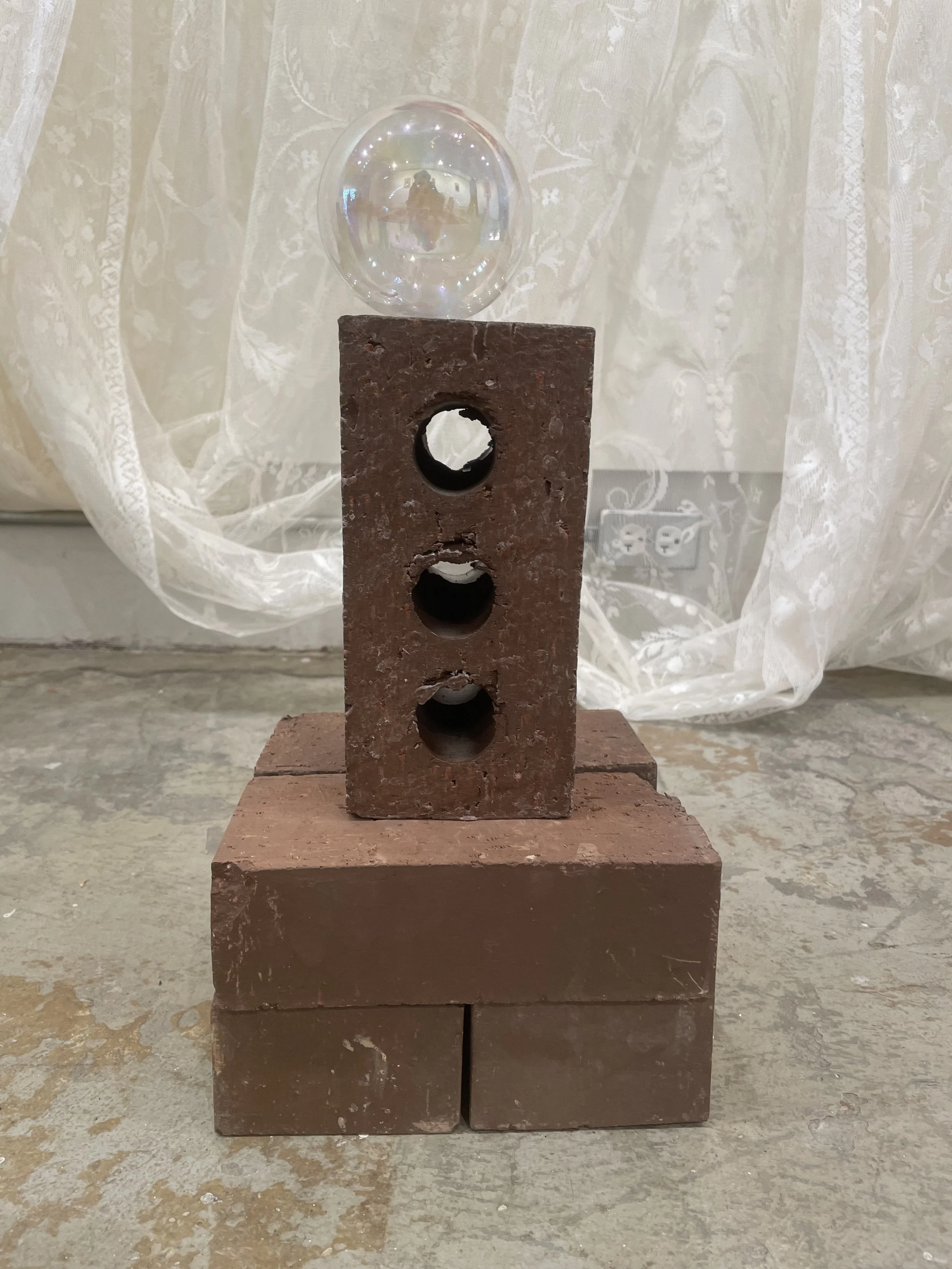 Operculum BY ABIGAIL RUTH — PEEL