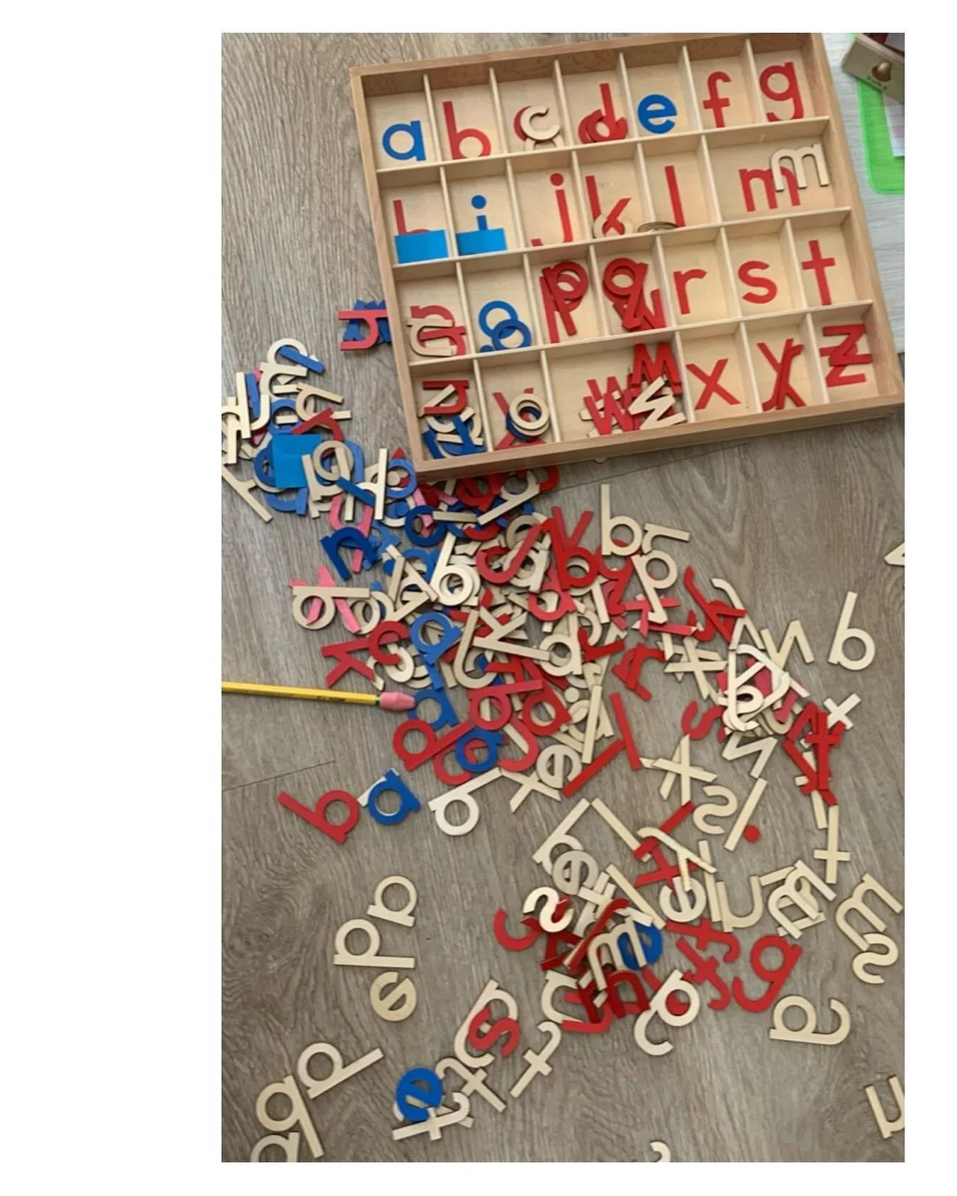 Flourishing Learners