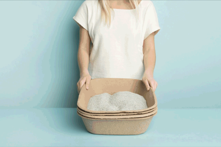Kitty Sift: A modular system for all of your needs! — Kitty Sift®
