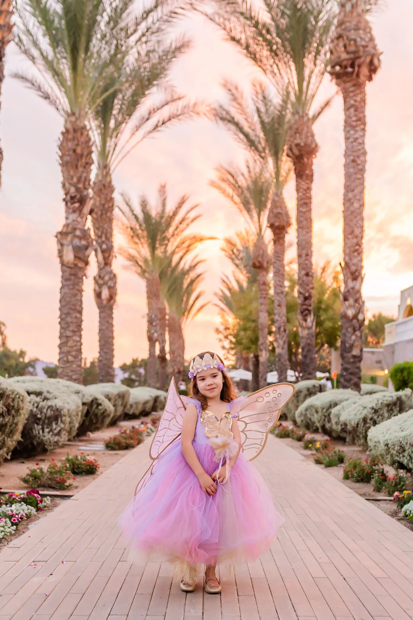 Tucson Family Photographer Portrait Gallery — Jaime Williams Photography