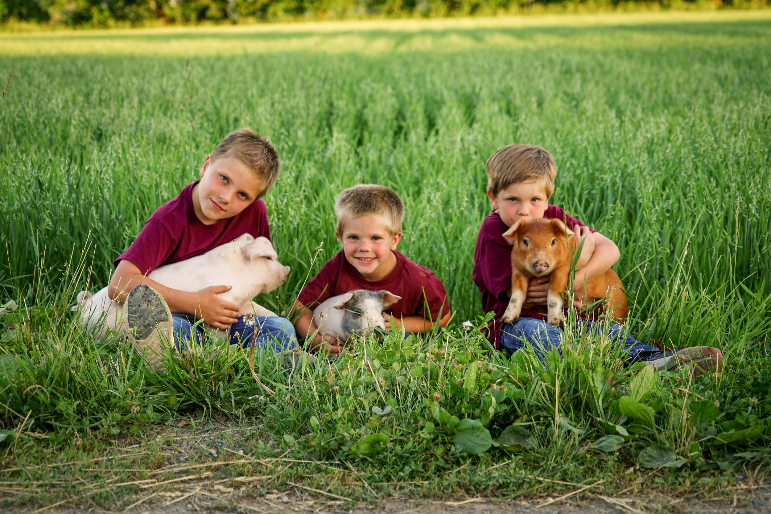 About — Country View Meats