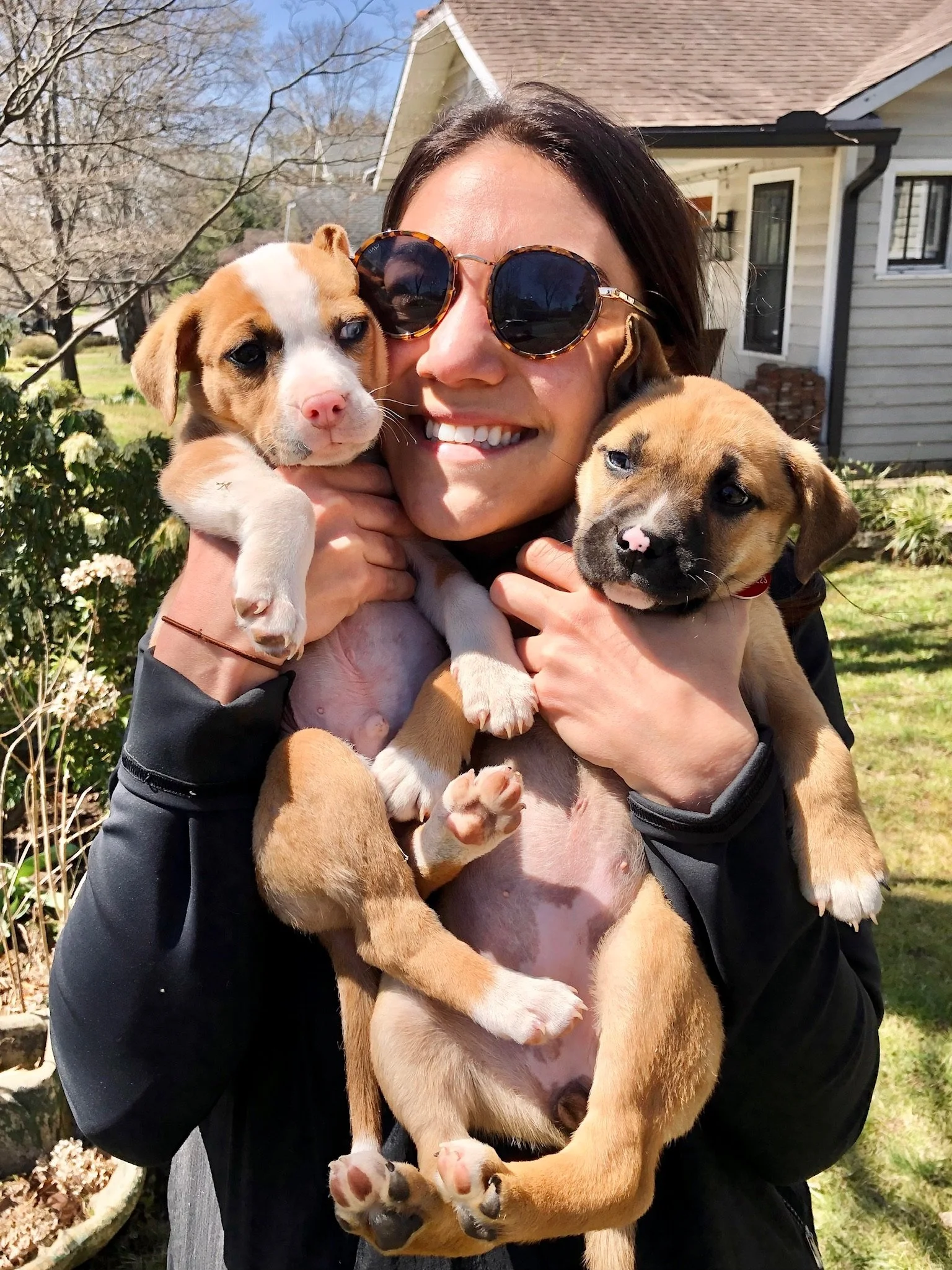 Volunteer in Nashville — Wags and Walks