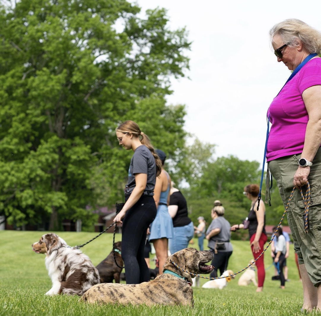 Nash Events Calendar — Wags and Walks