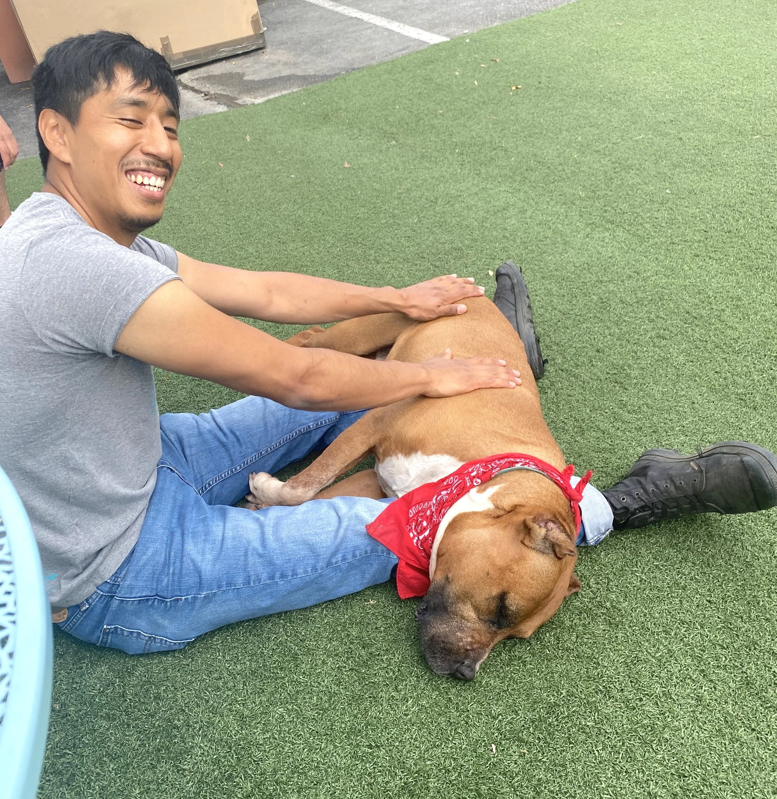 Sunshine — Wags and Walks