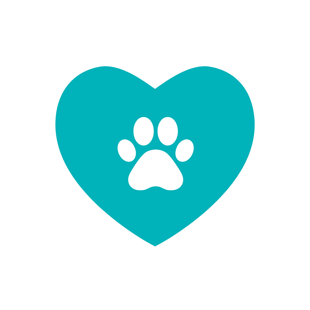 Medical Clinic — Wags and Walks